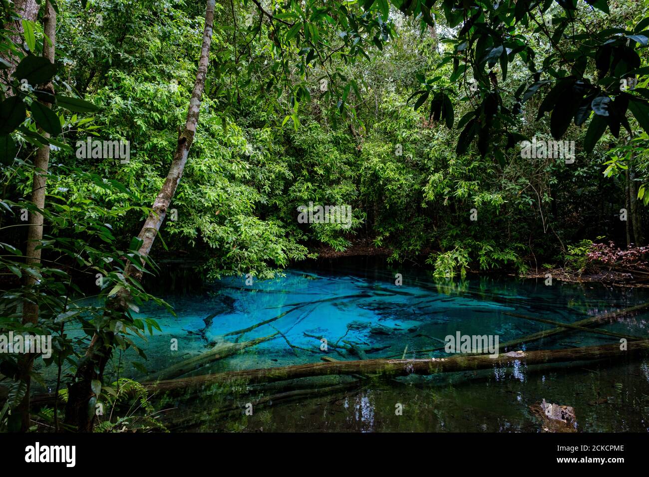 Emerald pool in sa morakot national park hi-res stock photography and ...