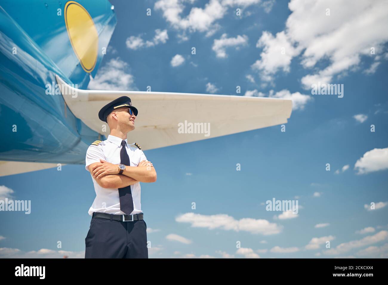Handsome pilot standing by airplane under blue sky Stock Photo - Alamy