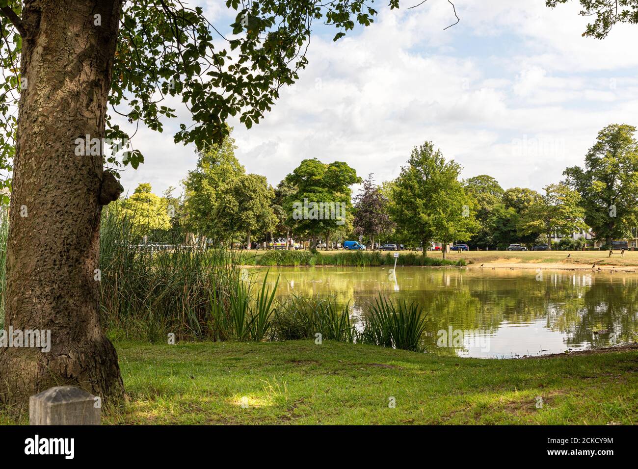 Shenfield Common and Pond, Brentwood Essex Stock Photo - Alamy