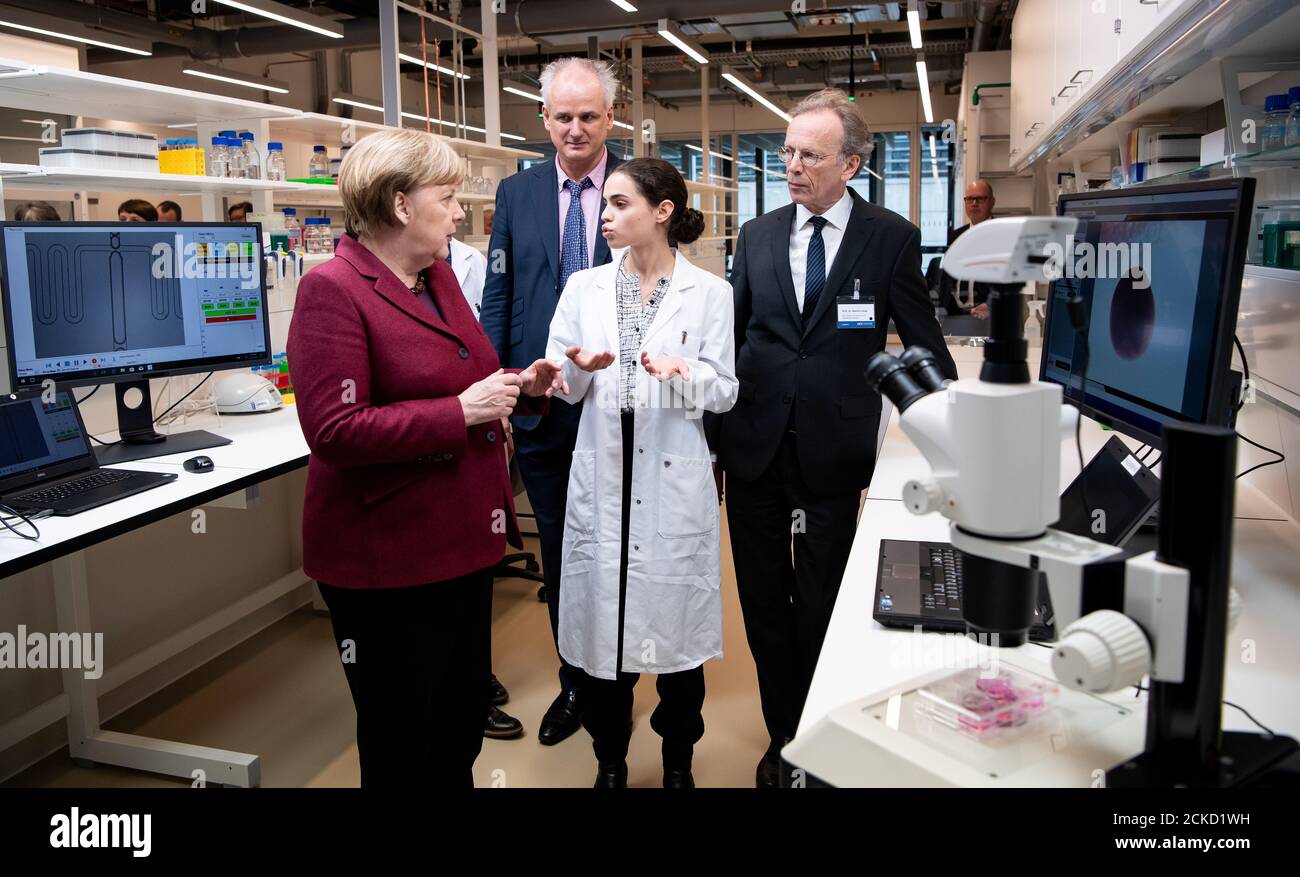 Organoid technology hi-res stock photography and images - Alamy