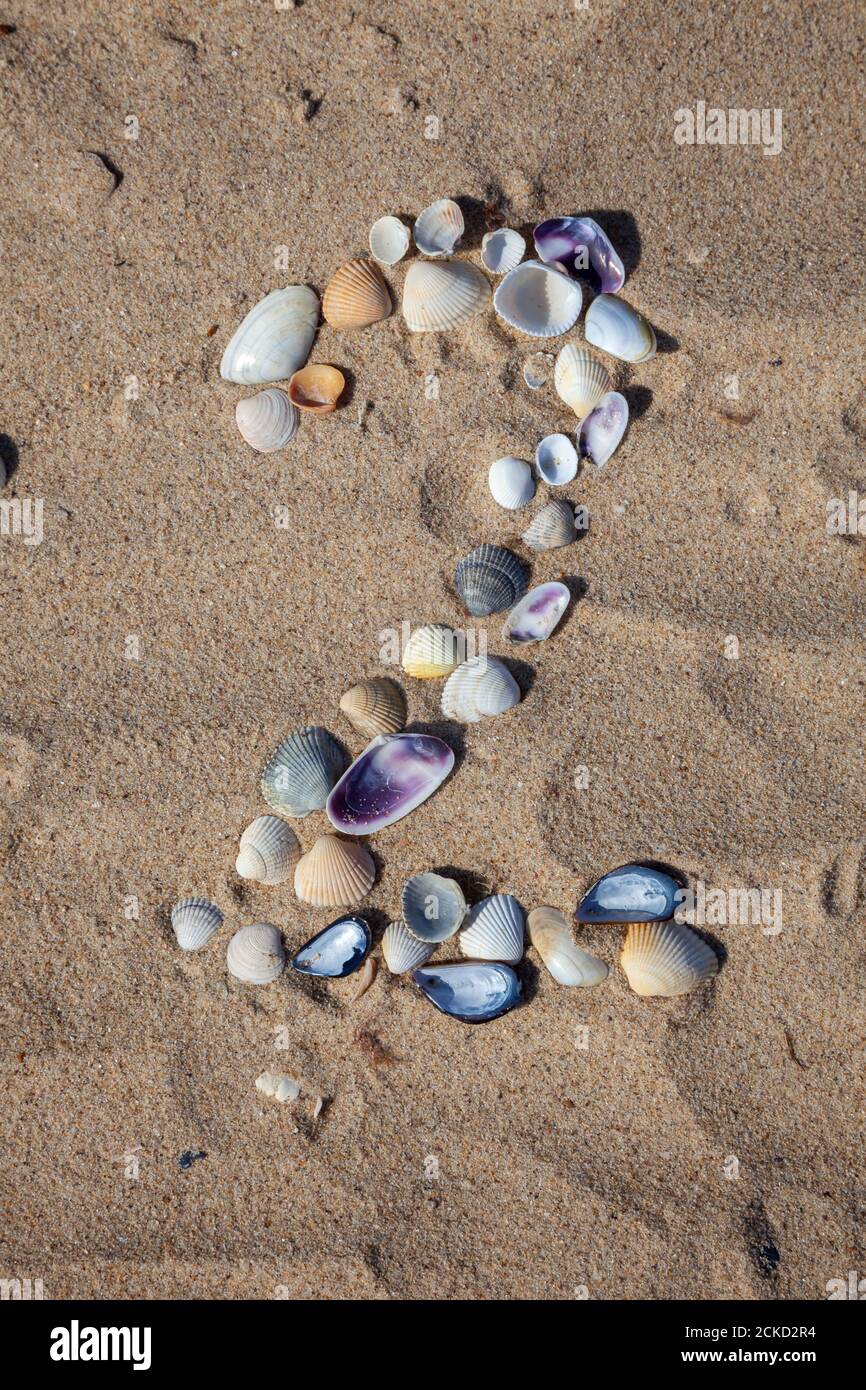 Number 2 laid out from seashells on the sand. Marine background. The ...