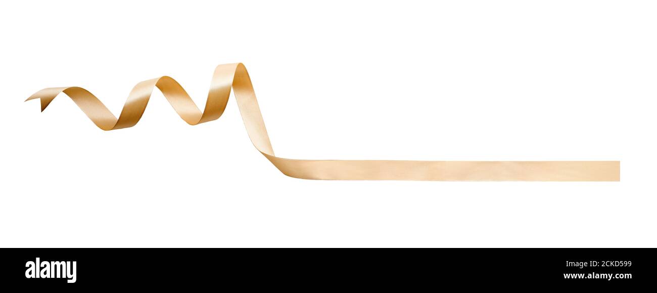 A curly gold ribbon for Christmas and birthday present banner isolated ...