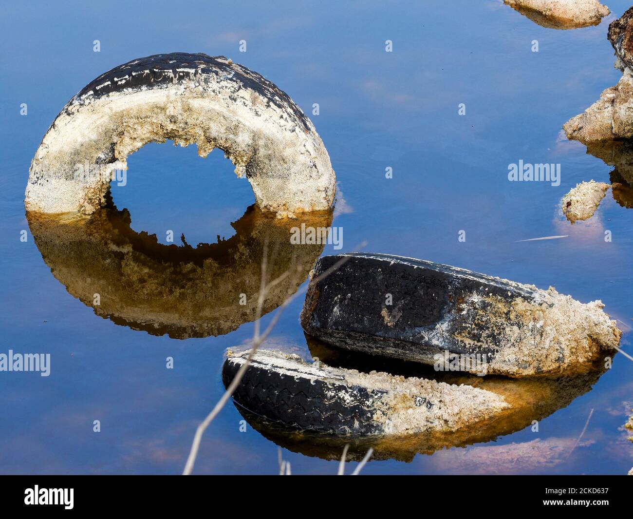 Polluted lagoon in Spain Stock Photo - Alamy