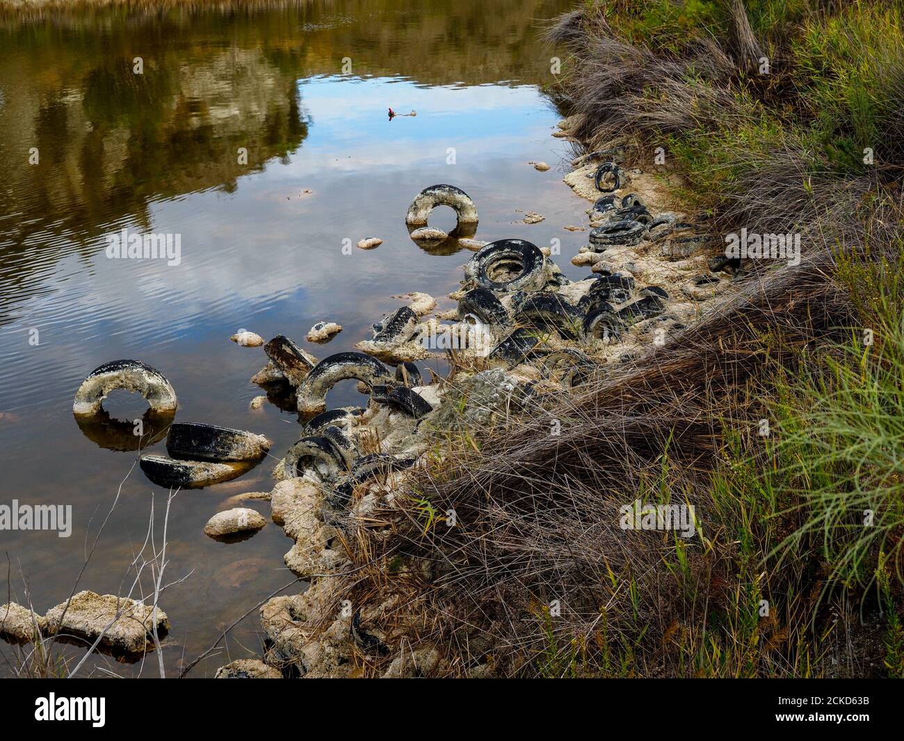 Polluted lagoon in Spain Stock Photo - Alamy