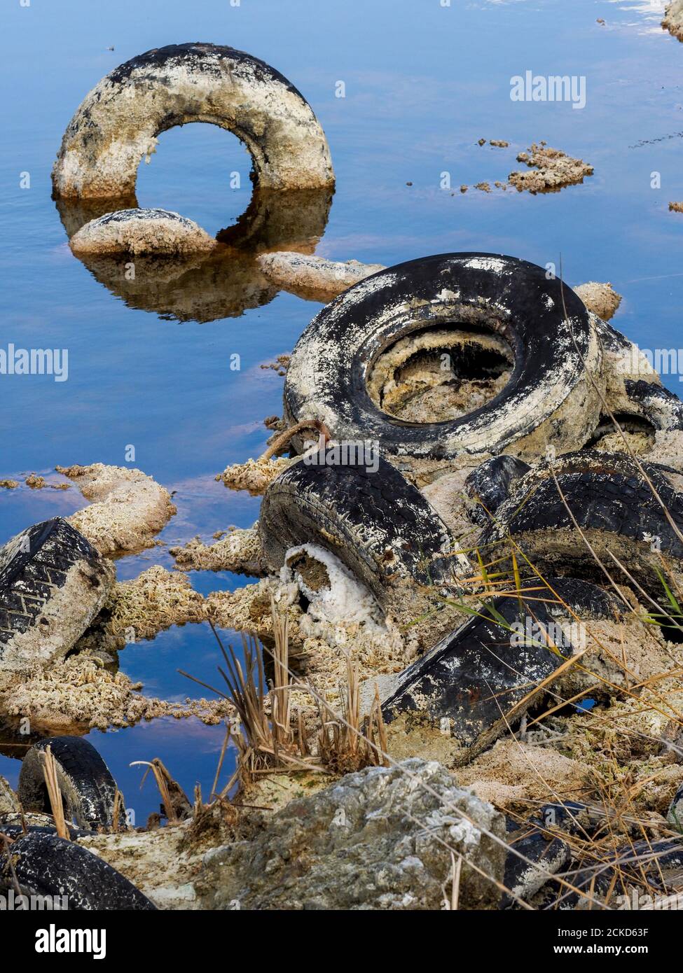 Polluted lagoon in Spain Stock Photo - Alamy
