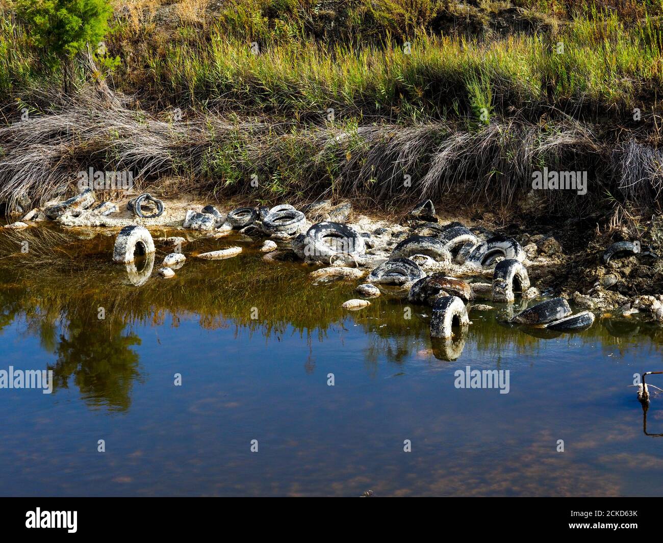 Polluted lagoon in Spain Stock Photo - Alamy