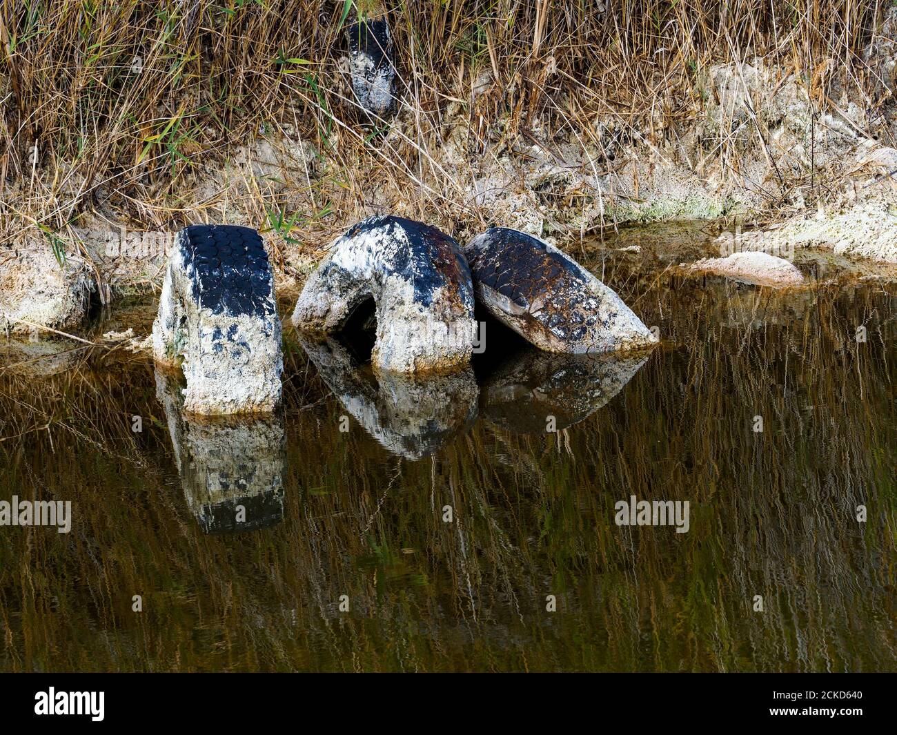 Polluted lagoon in Spain Stock Photo - Alamy