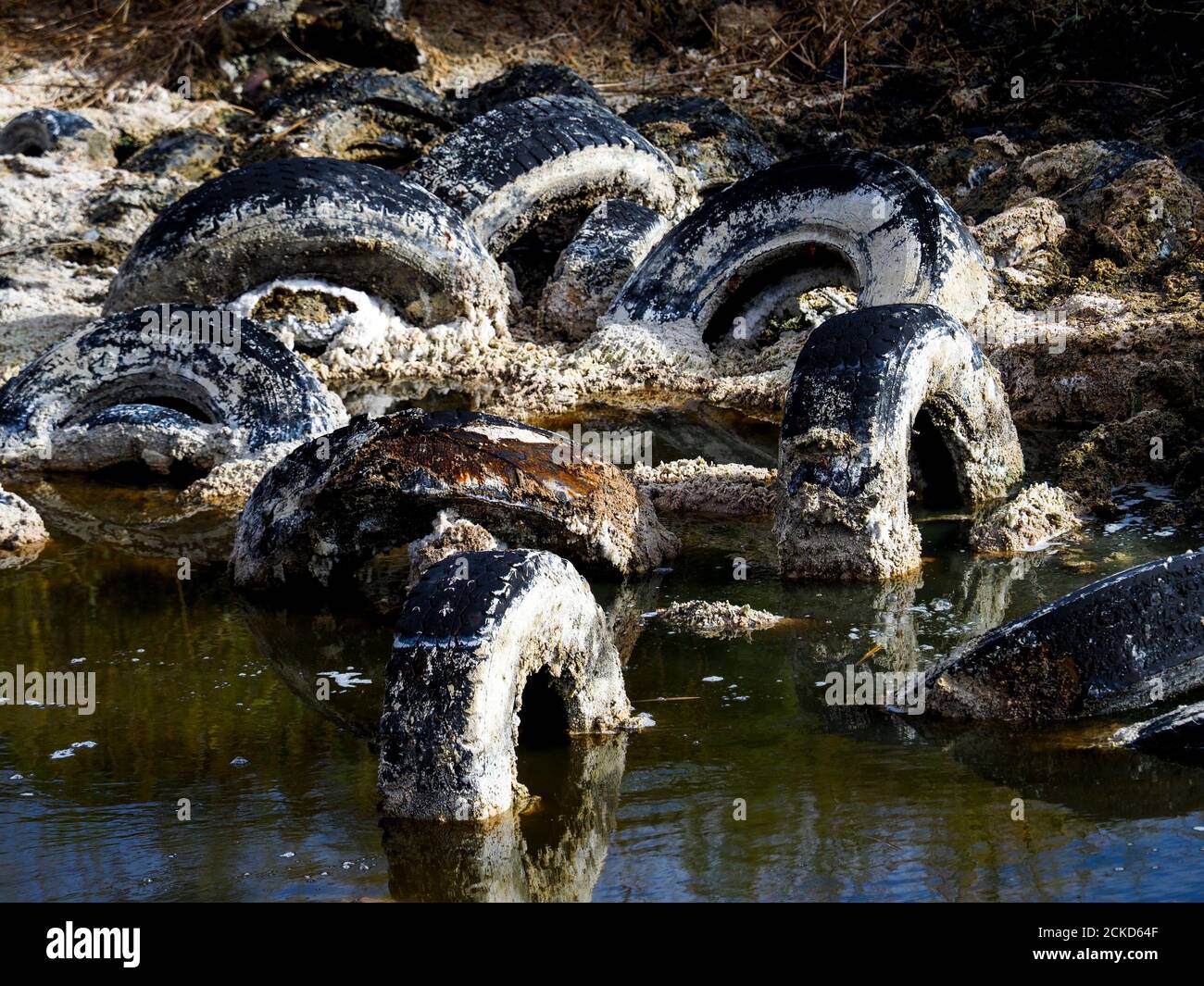 Polluted lagoon hi-res stock photography and images - Alamy