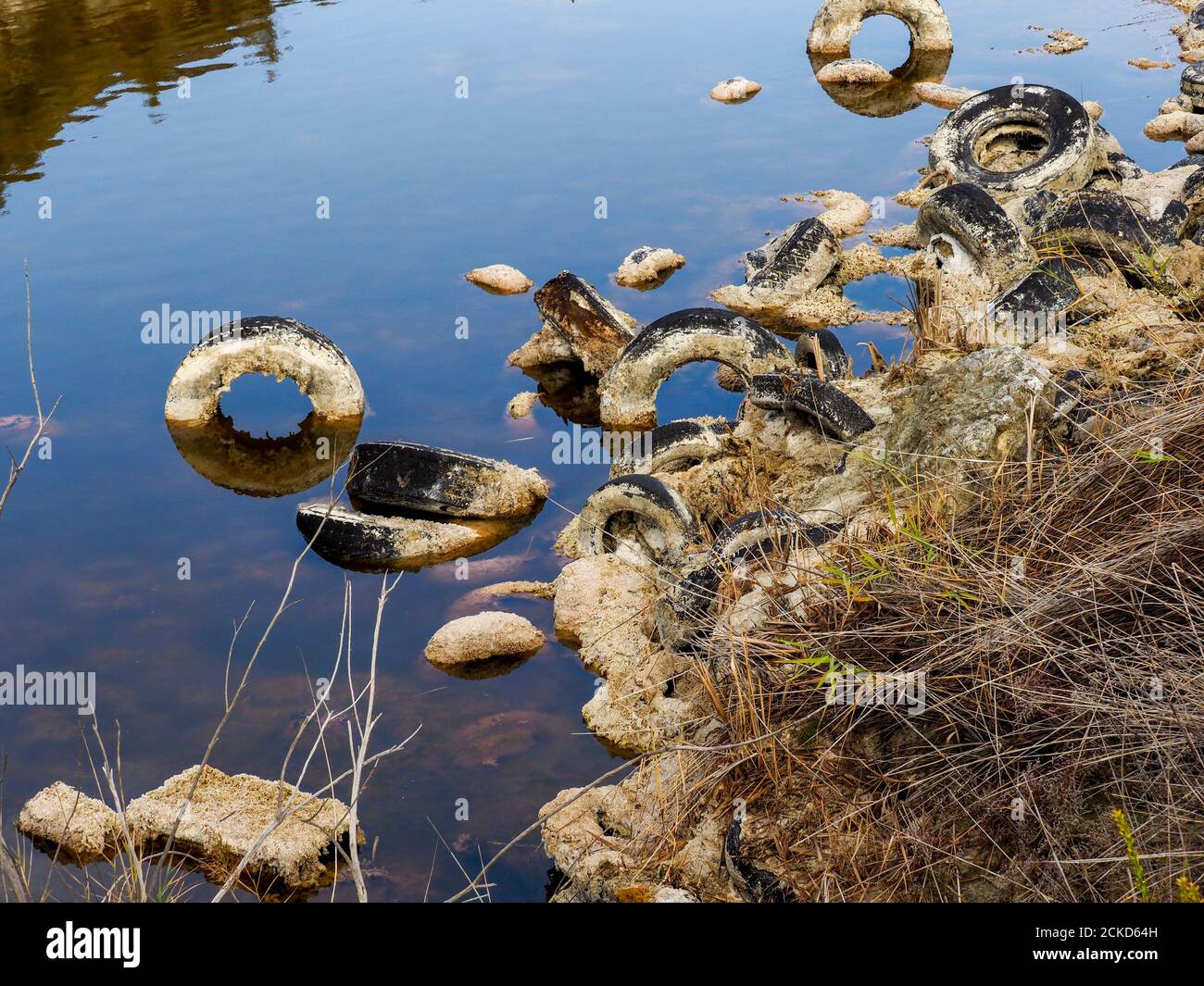 Polluted lagoon in Spain Stock Photo - Alamy