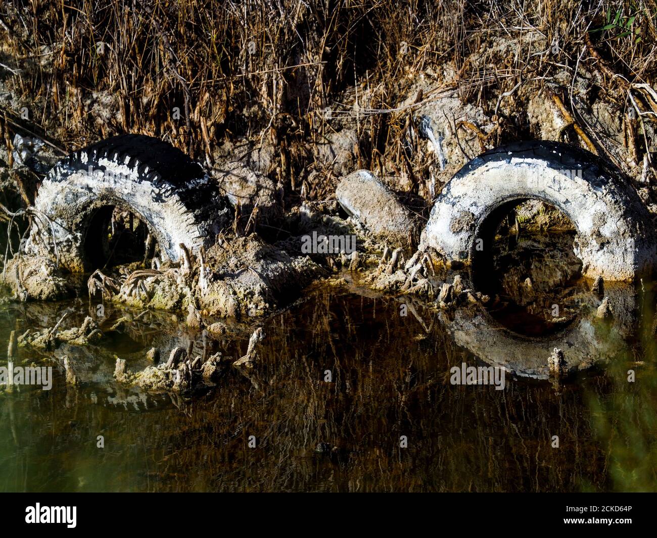 Polluted lagoon in Spain Stock Photo - Alamy