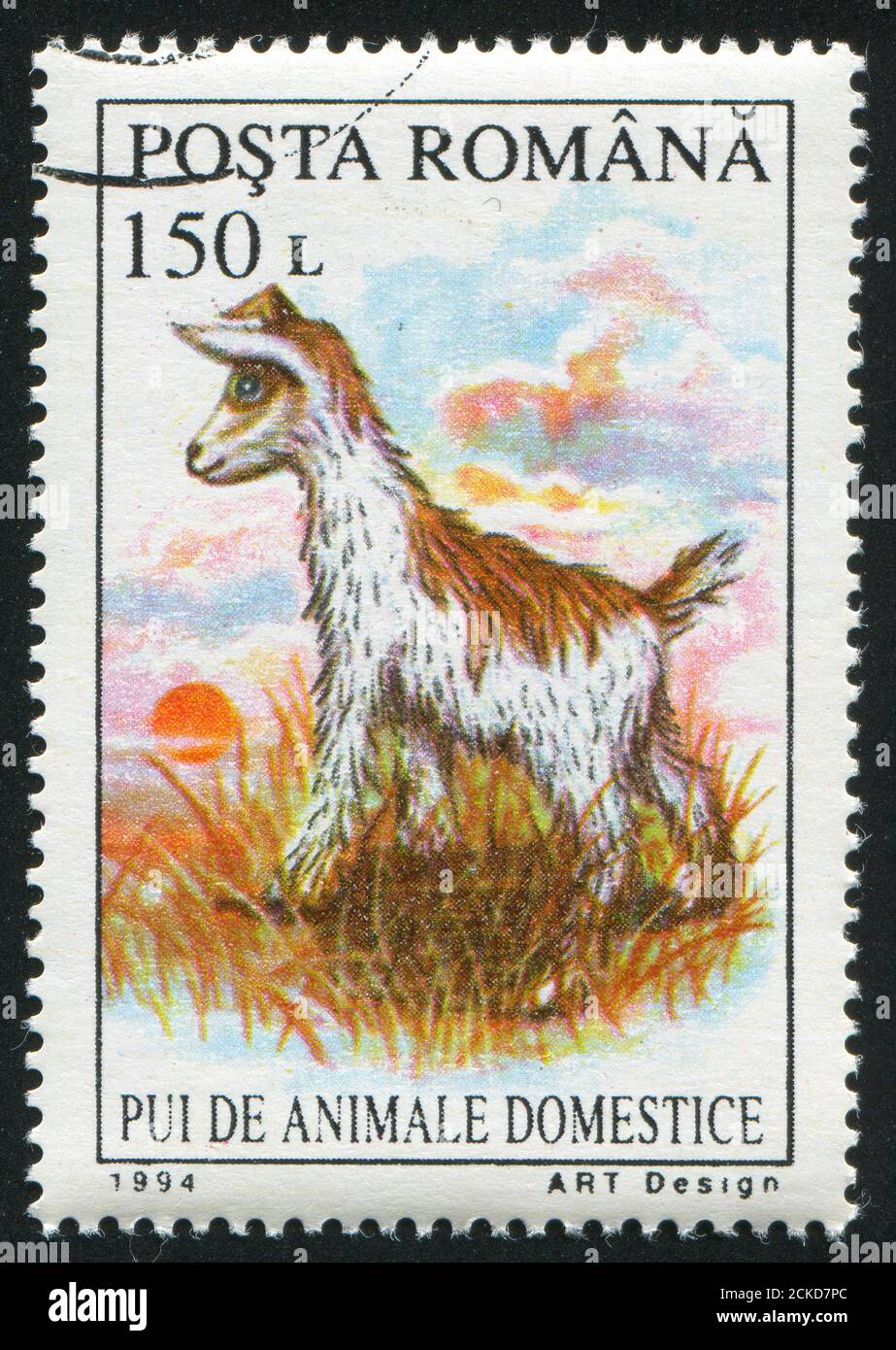 ROMANIA - CIRCA 1994: stamp printed by Romania, shows Kid goat, circa ...