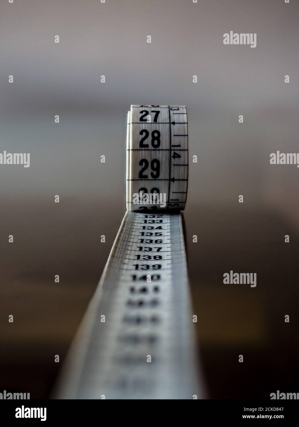 Tape measure, used by dressmakers and tailors to take measurements of ...