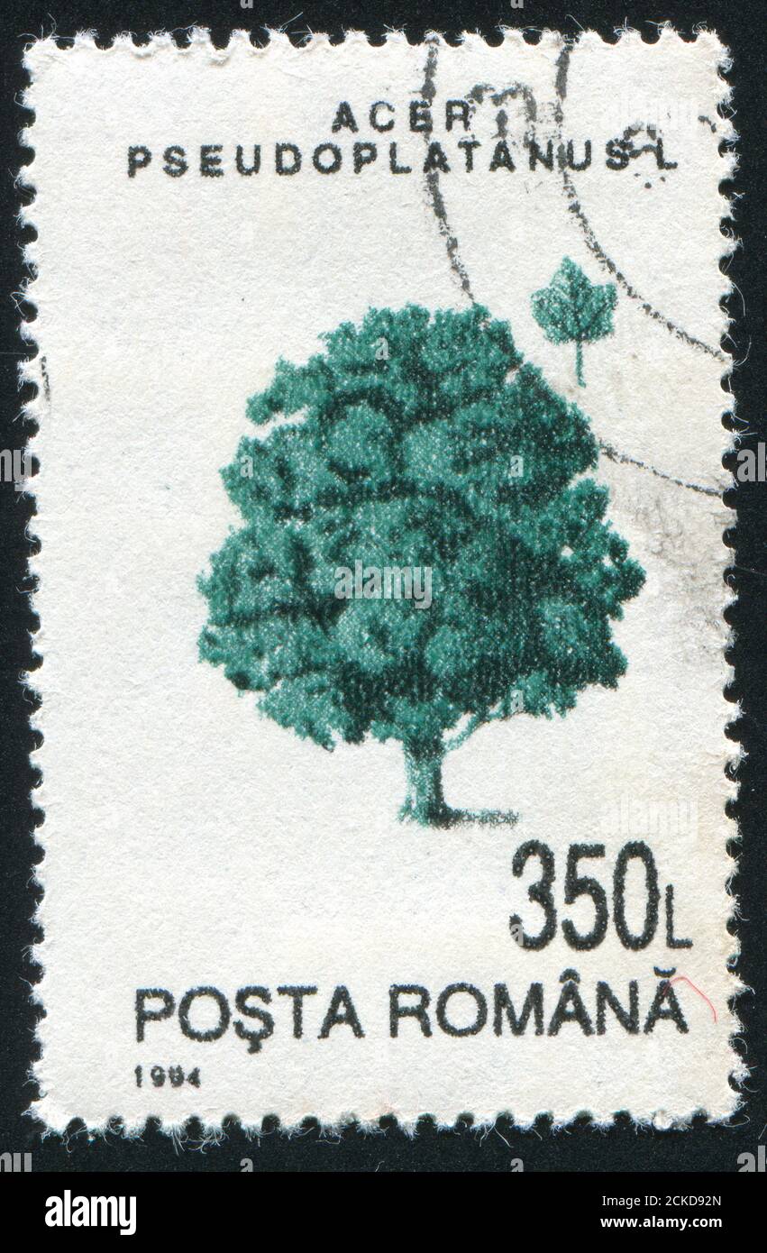 ROMANIA - CIRCA 1994: stamp printed by Romania, show Acer ...