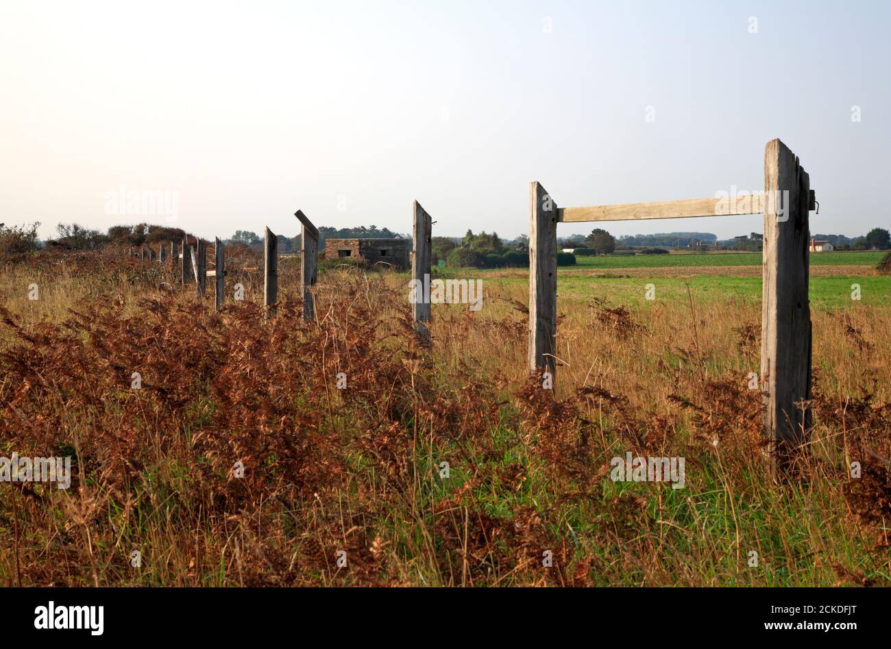 The remains of an old boundary fence with wooden upright posts ...
