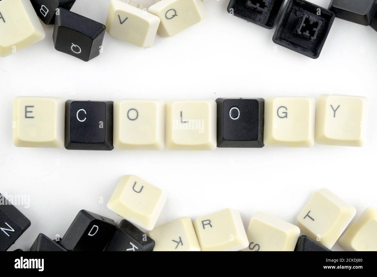 Studio of the sc hi-res stock photography and images - Alamy