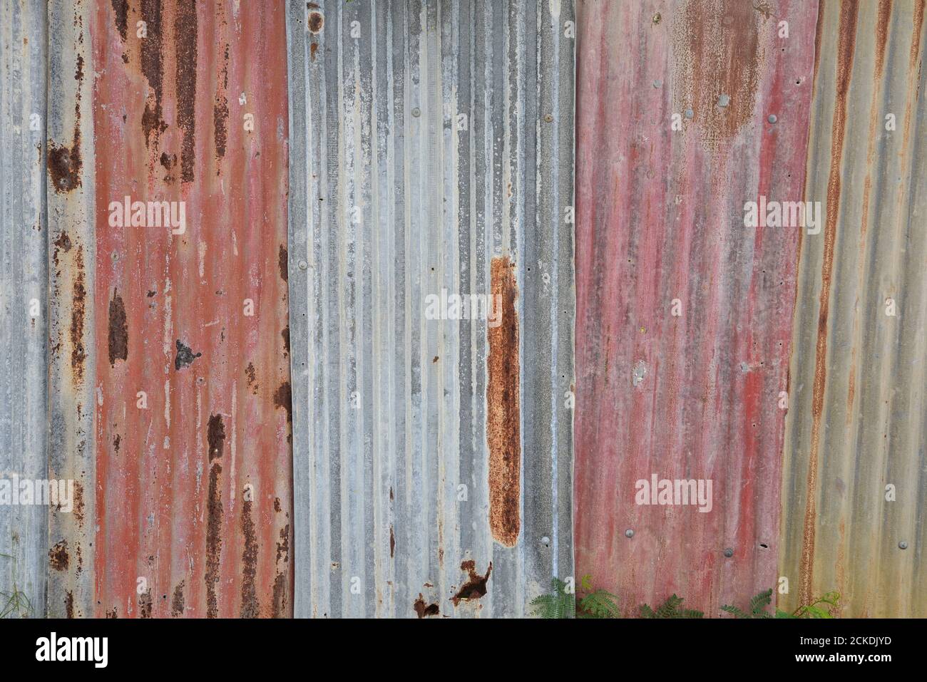 Painted and rusty corrugated iron Stock Photo - Alamy