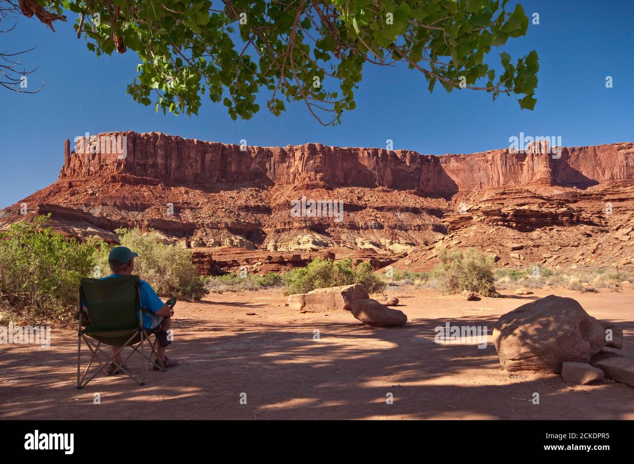 Camper at campsite under cottonwood tree, Potato Bottom Camp, Bighorn ...
