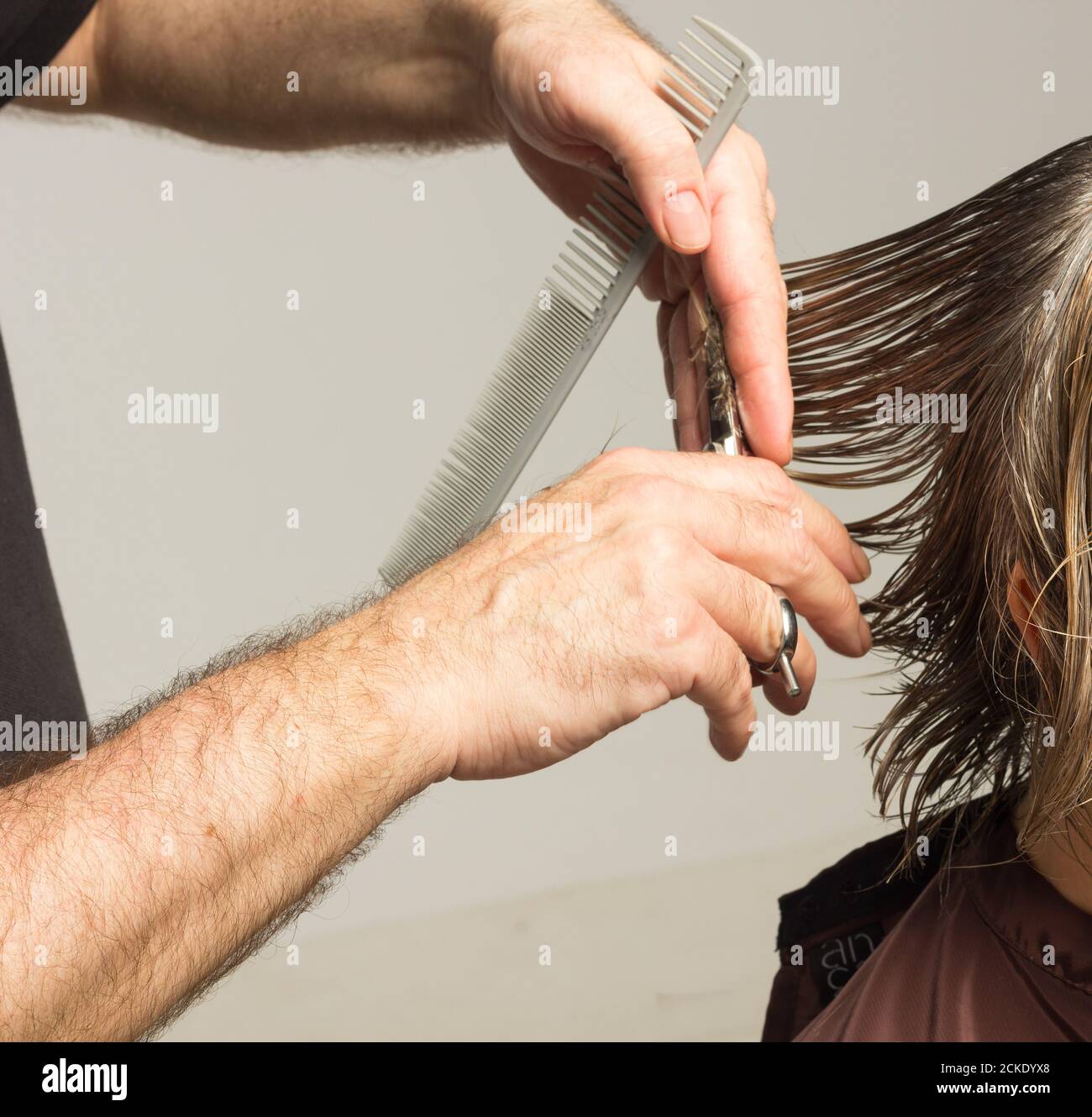 Professional hairdresser cutting a woman's hair with scissors and a ...