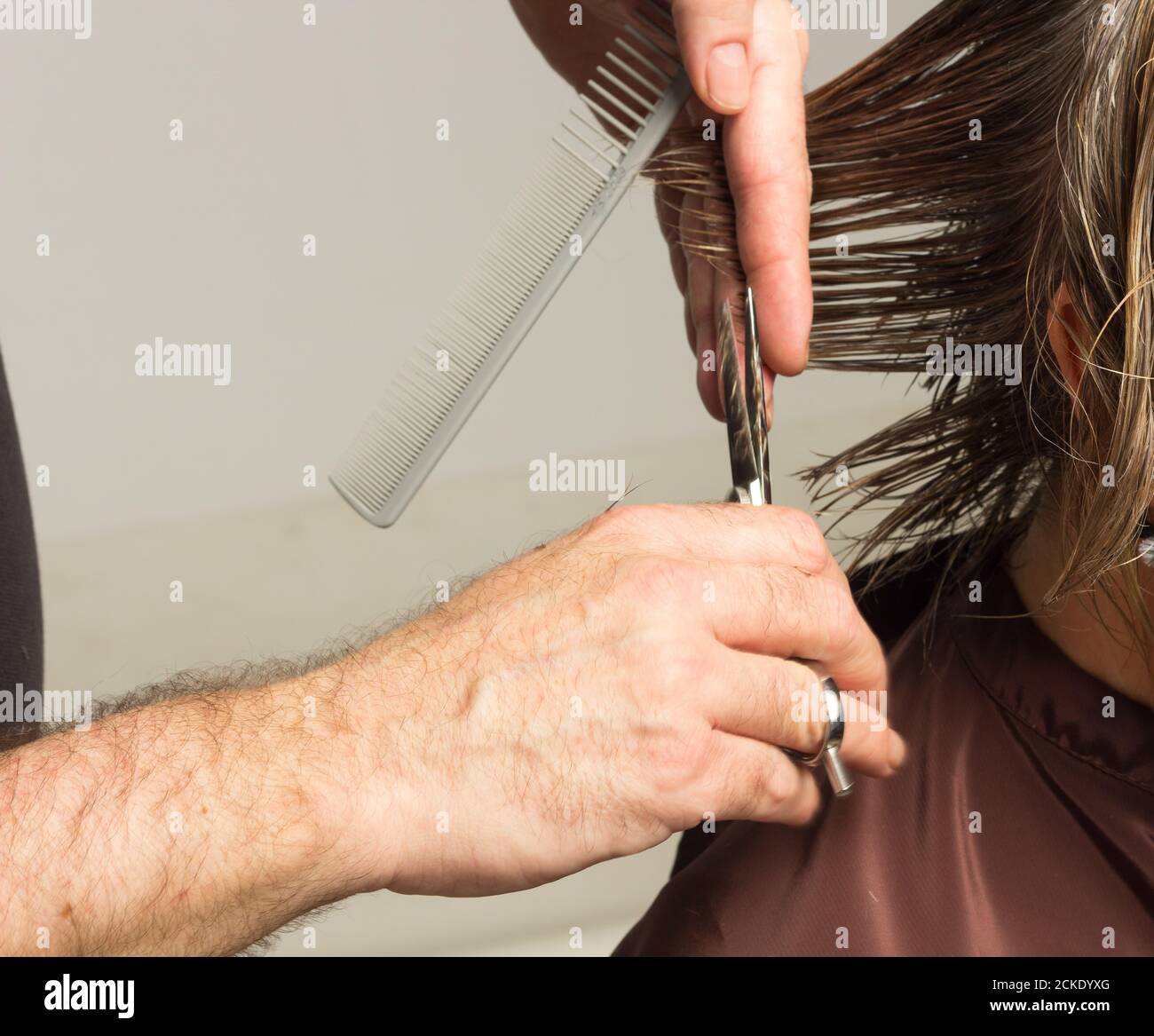 Professional hairdresser cutting a woman's hair with scissors and a ...