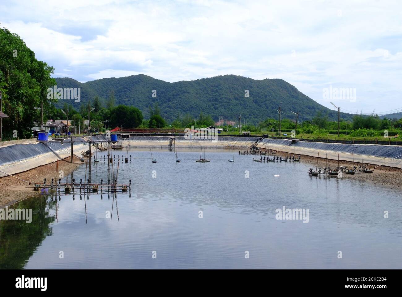 Shrimp farms hi-res stock photography and images - Alamy