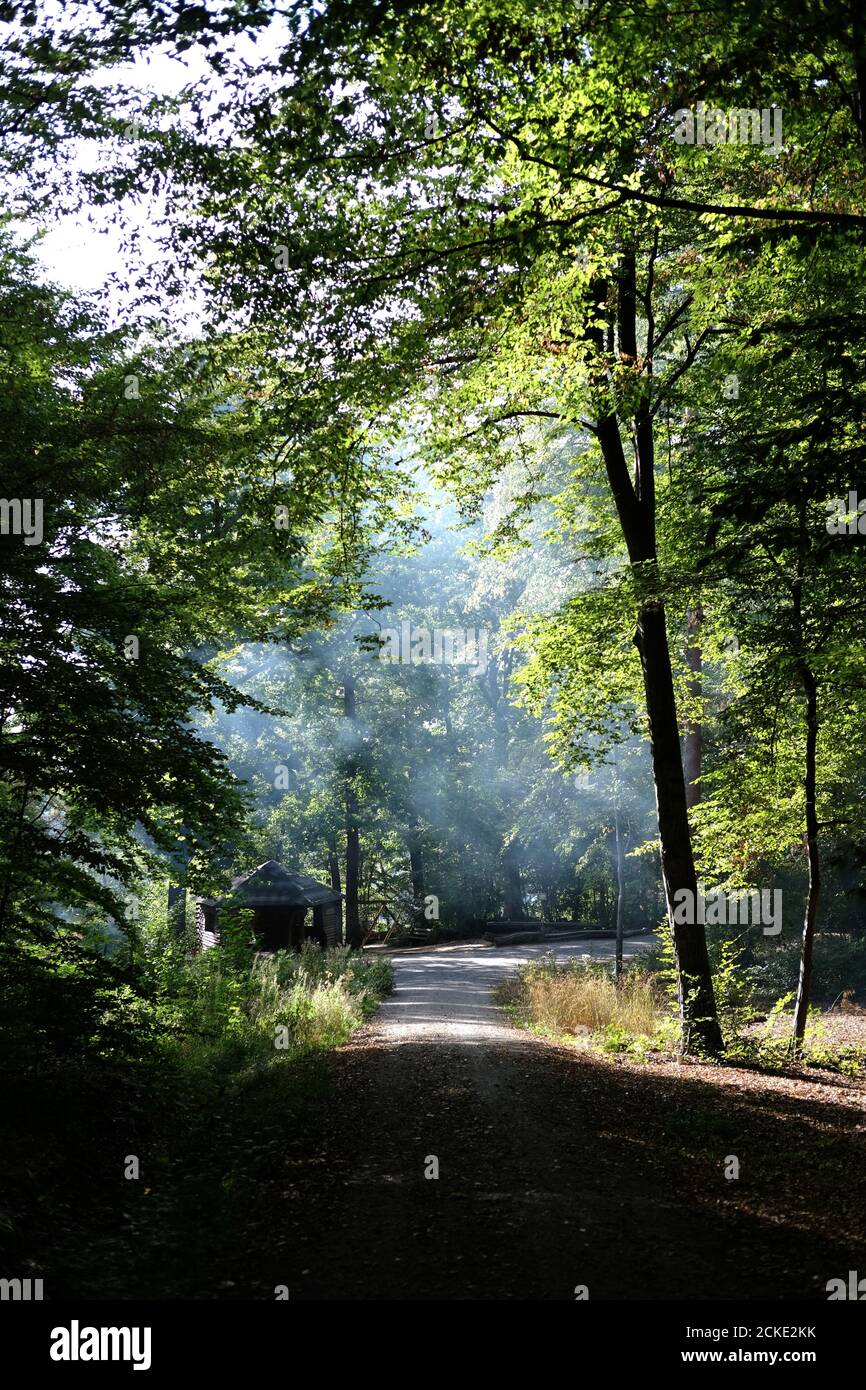 Beautiful shot footpath along hi-res stock photography and images - Alamy