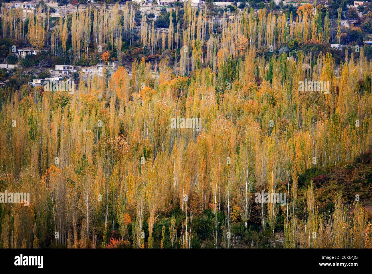 Autumn At Hunza and northern areas of gilgit baltistan , Pakistan Stock ...