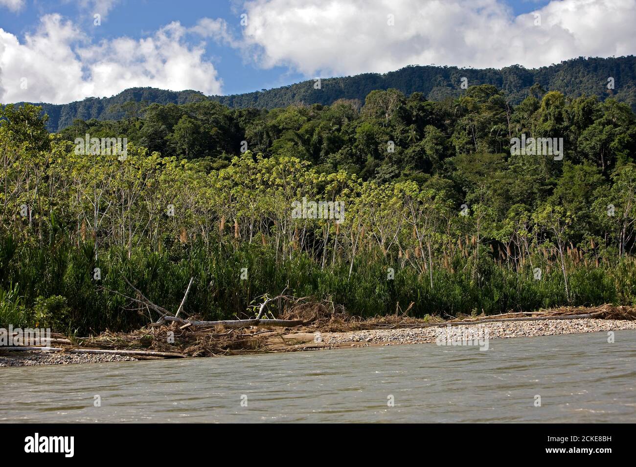 Tropical Forest and Madre de Dios River, Manu National Park in Peru ...