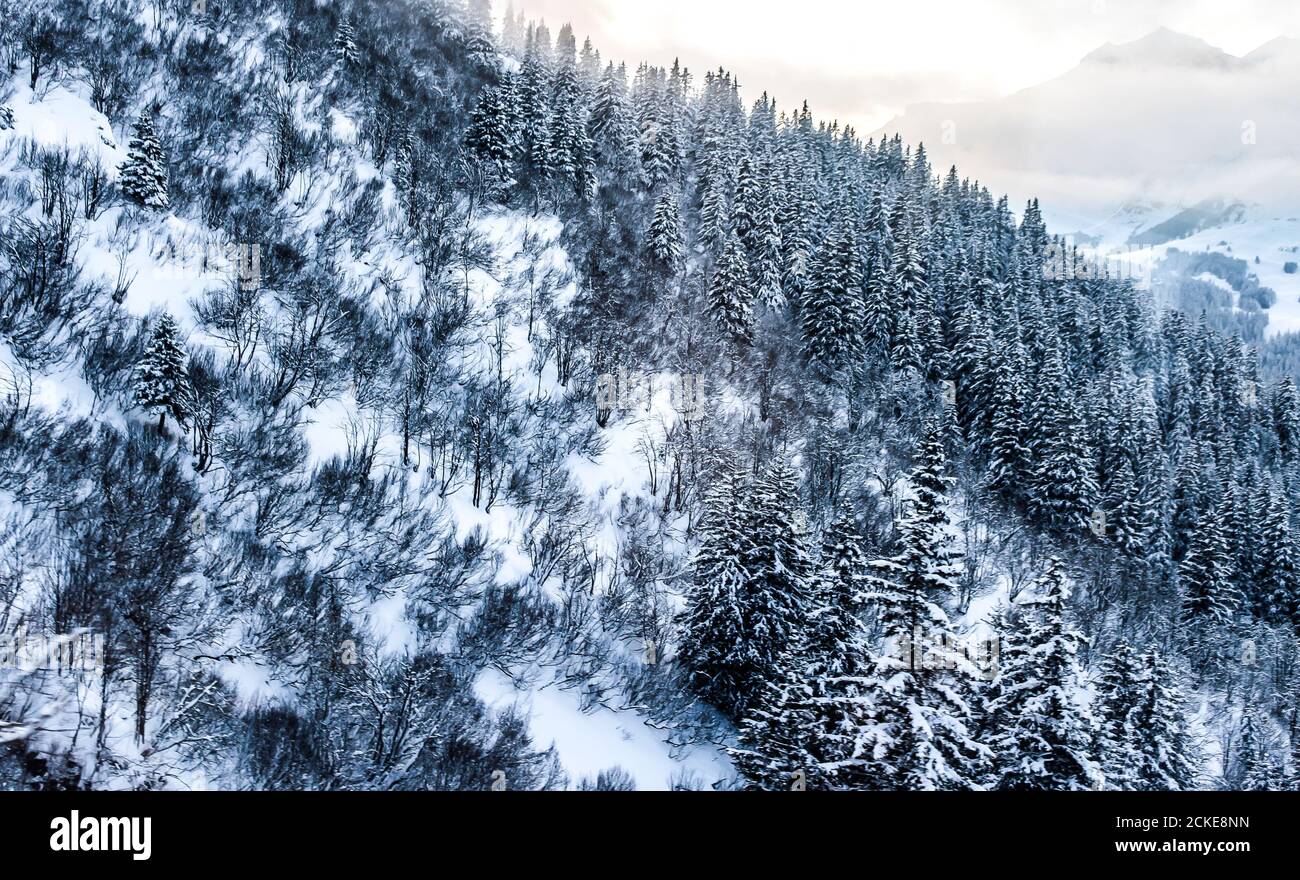 The Alpine region of Switzerland, conventionally referred to as the ...