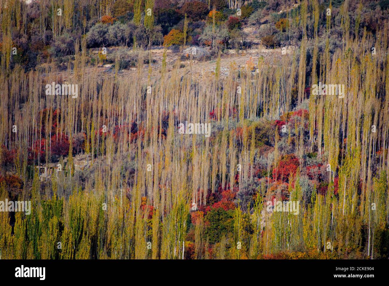Autumn At Hunza and northern areas of gilgit baltistan , Pakistan Stock ...