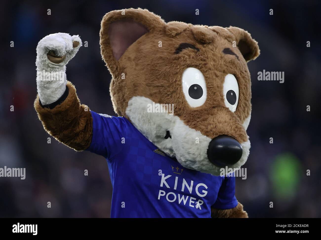 Filbert fox mascot hi-res stock photography and images - Alamy