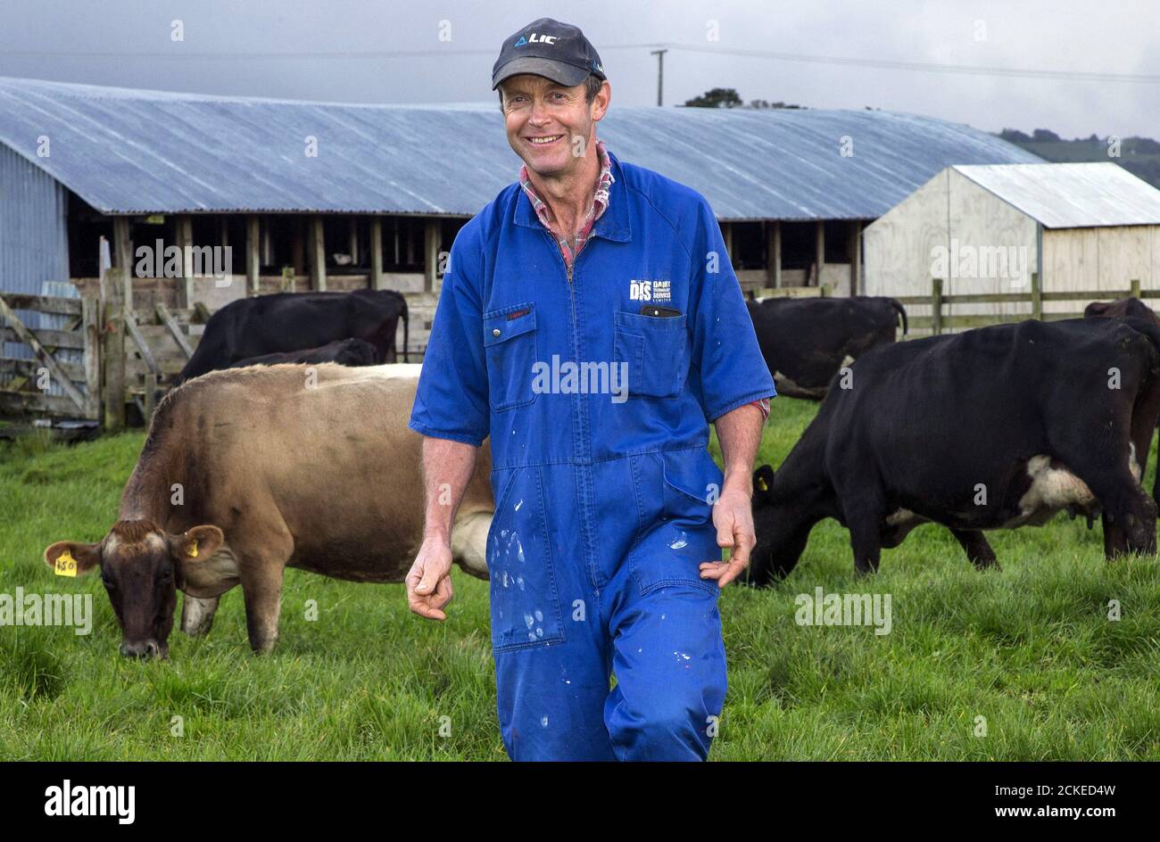 Milking stands hi-res stock photography and images - Alamy