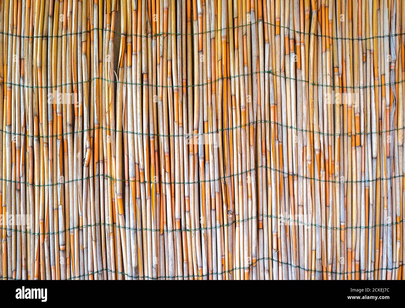 Thin wood stick hi-res stock photography and images - Alamy