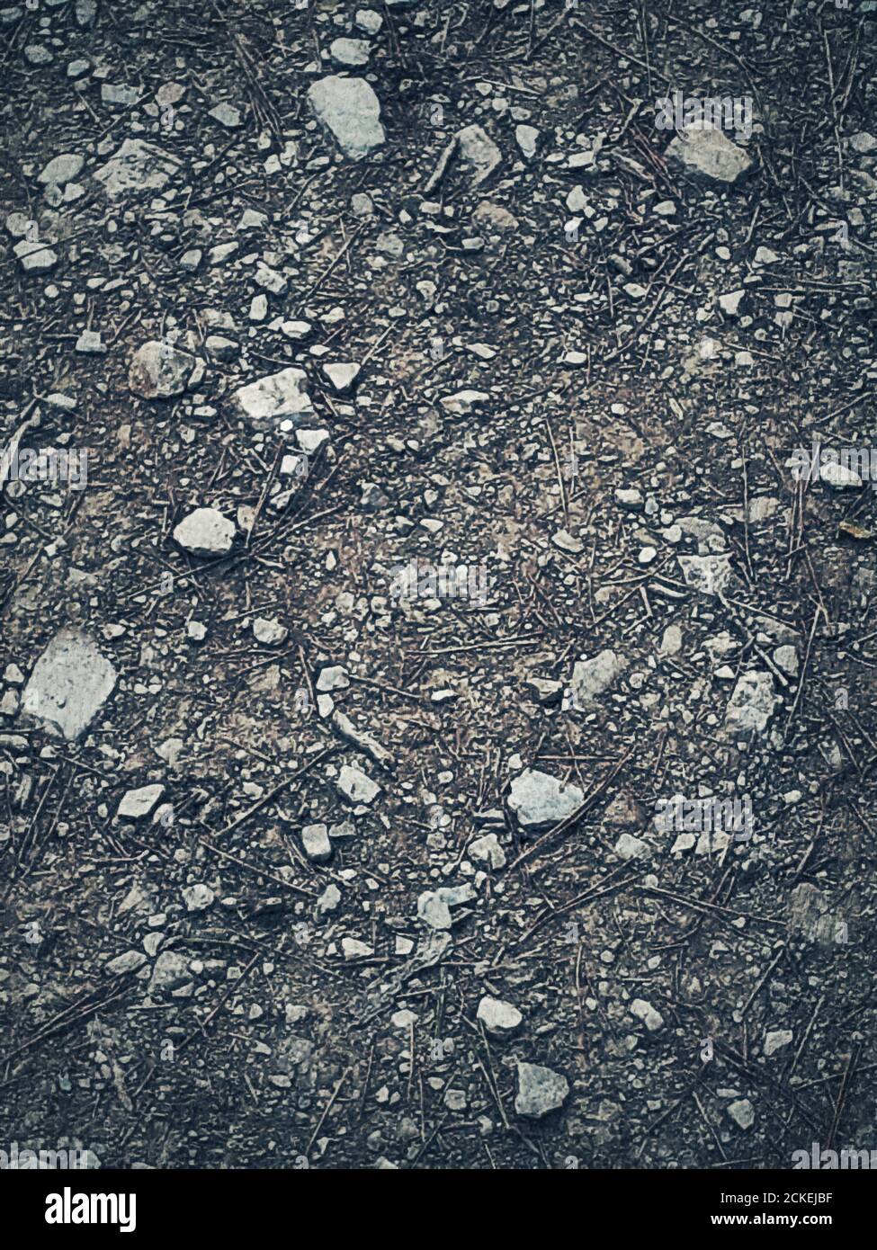 The ground full of stones and branches Stock Photo - Alamy