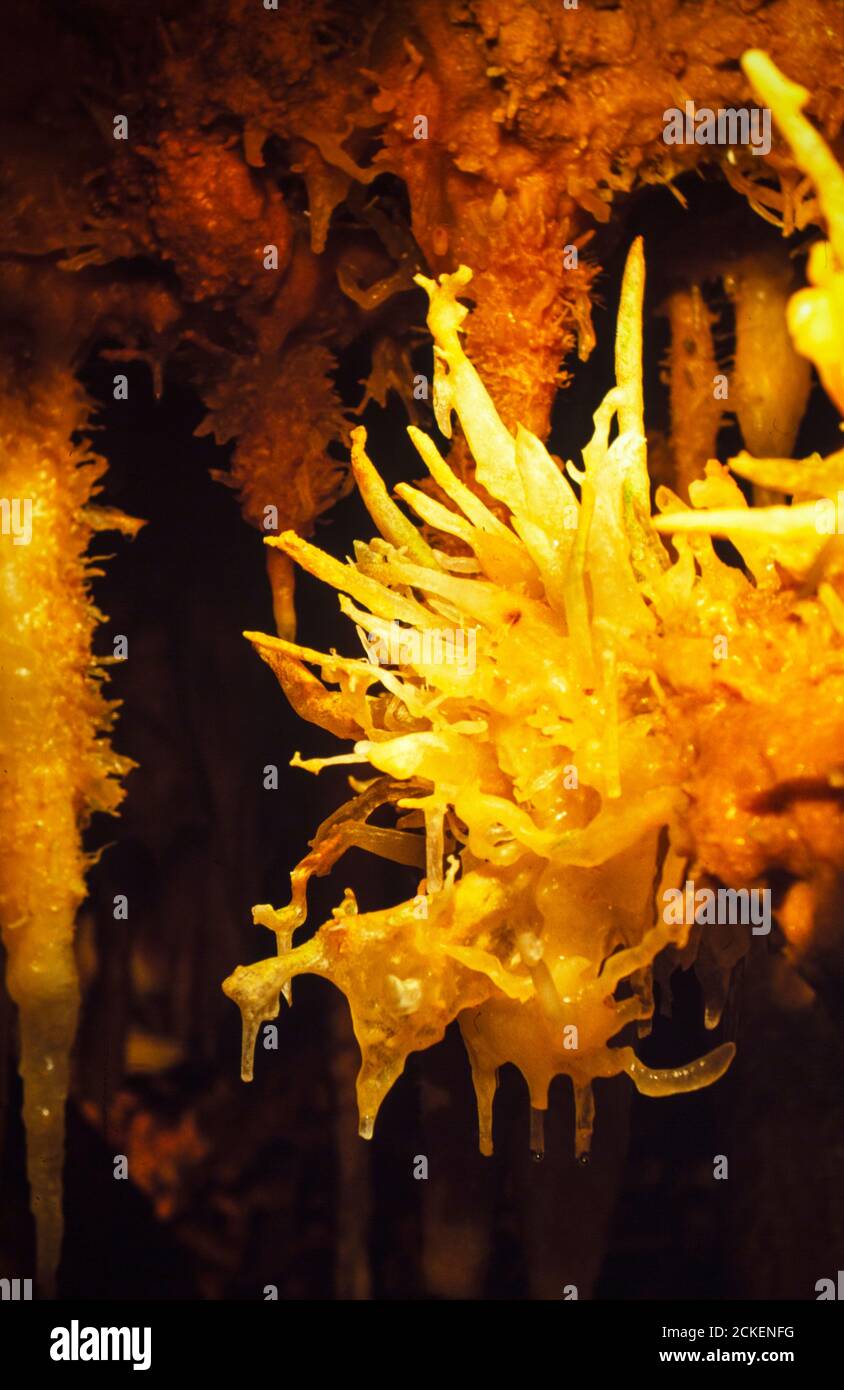 Helictite hi-res stock photography and images - Alamy