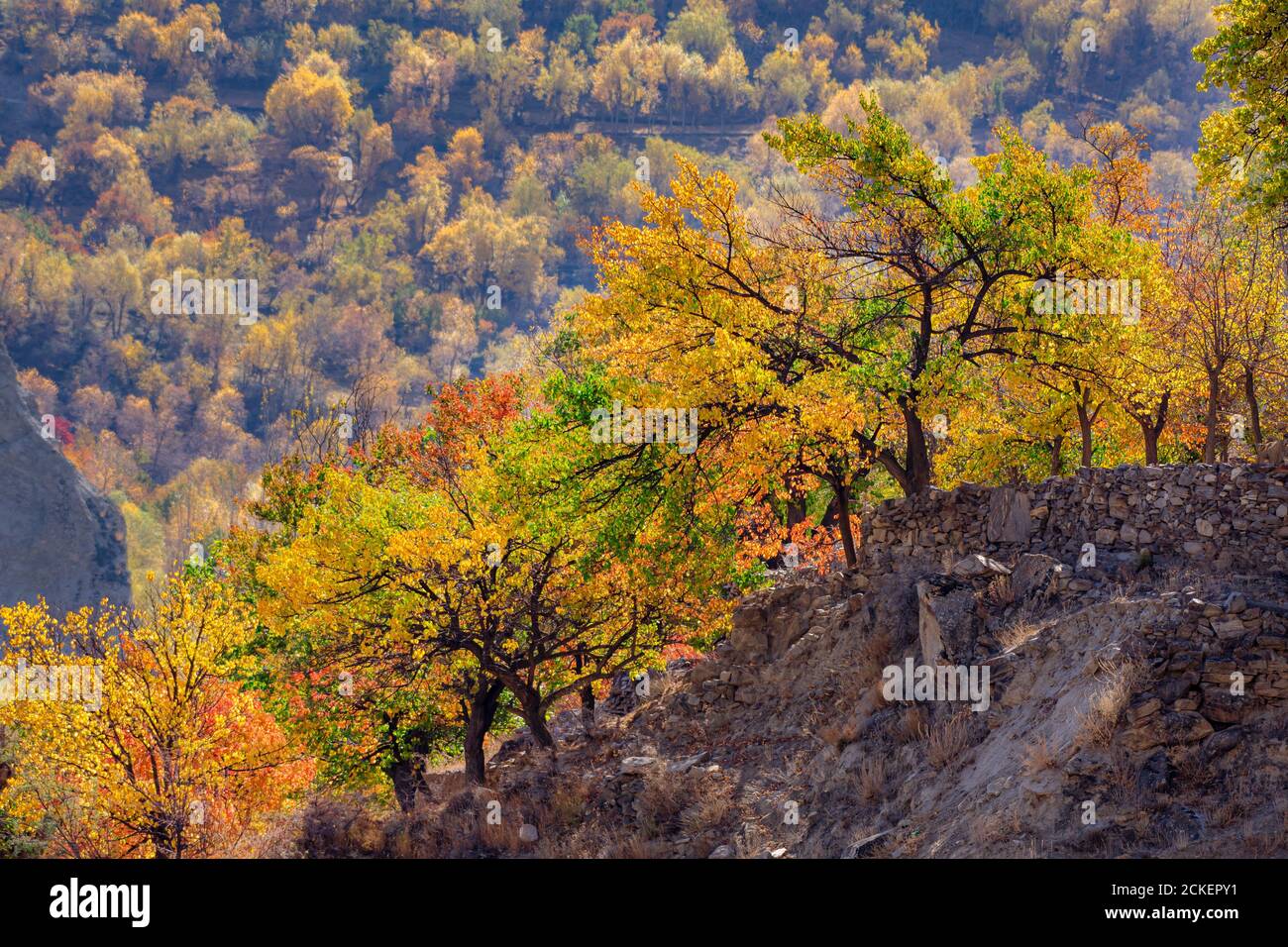 Autumn At Hunza and northern areas of gilgit baltistan , Pakistan Stock ...