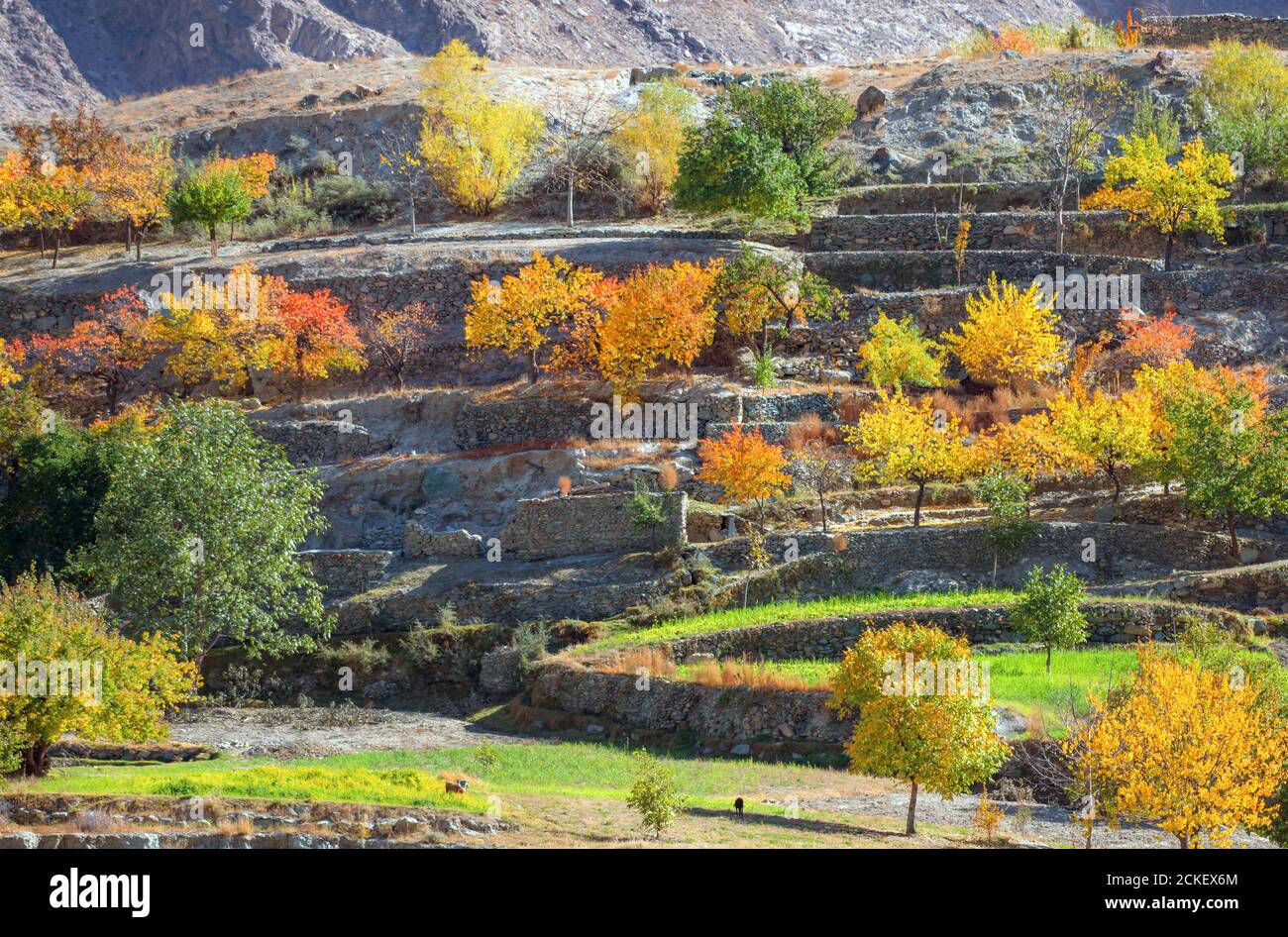 Autumn At Hunza and northern areas of gilgit baltistan , Pakistan Stock ...