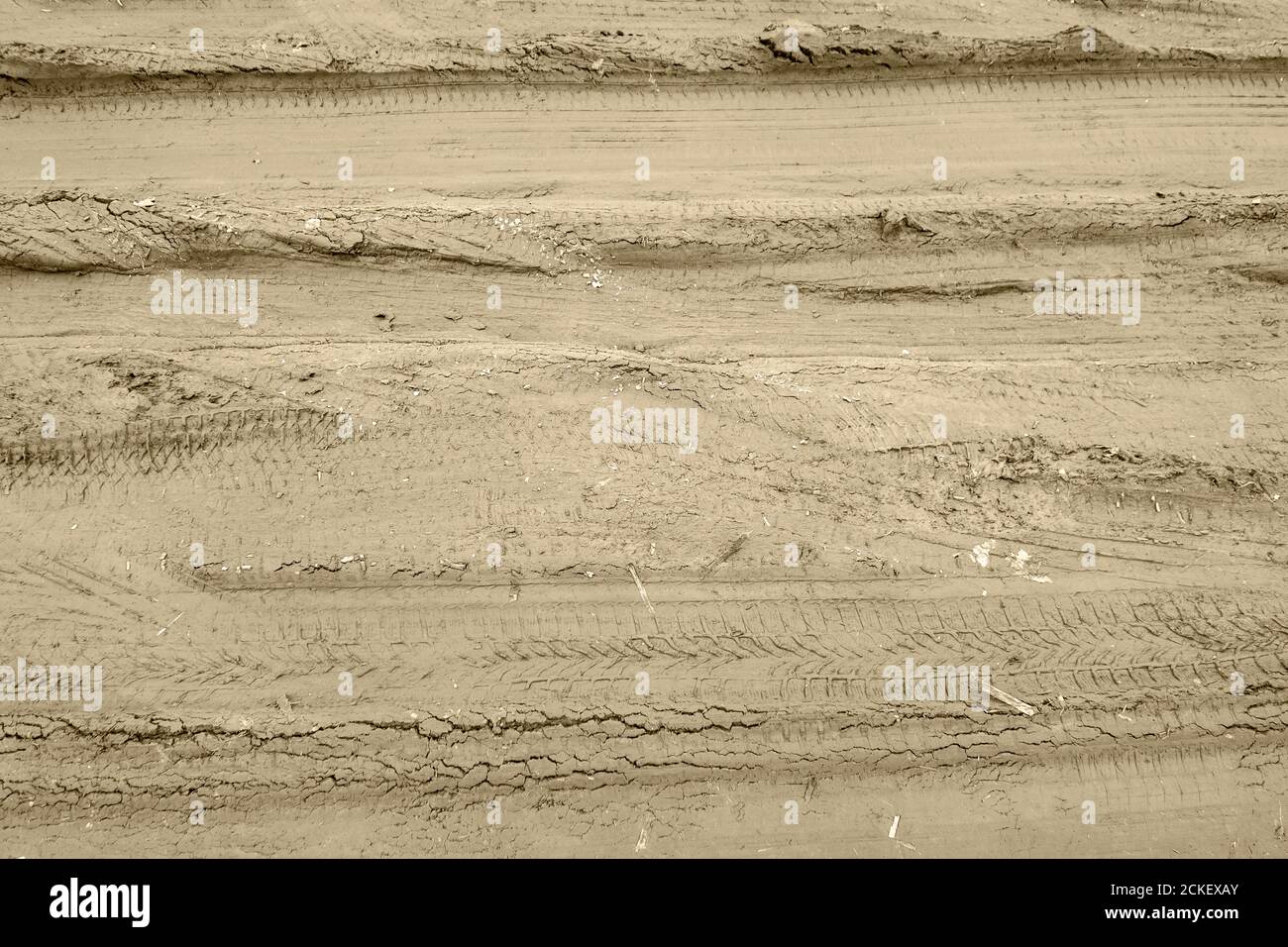 Skid mark hi-res stock photography and images - Alamy