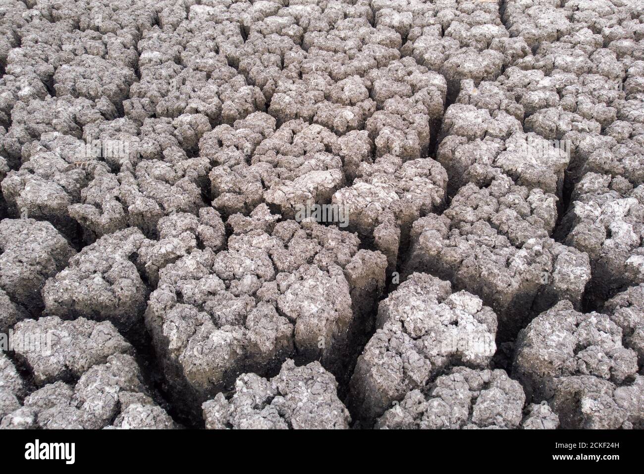 Cracked earth field aerial hi-res stock photography and images - Alamy