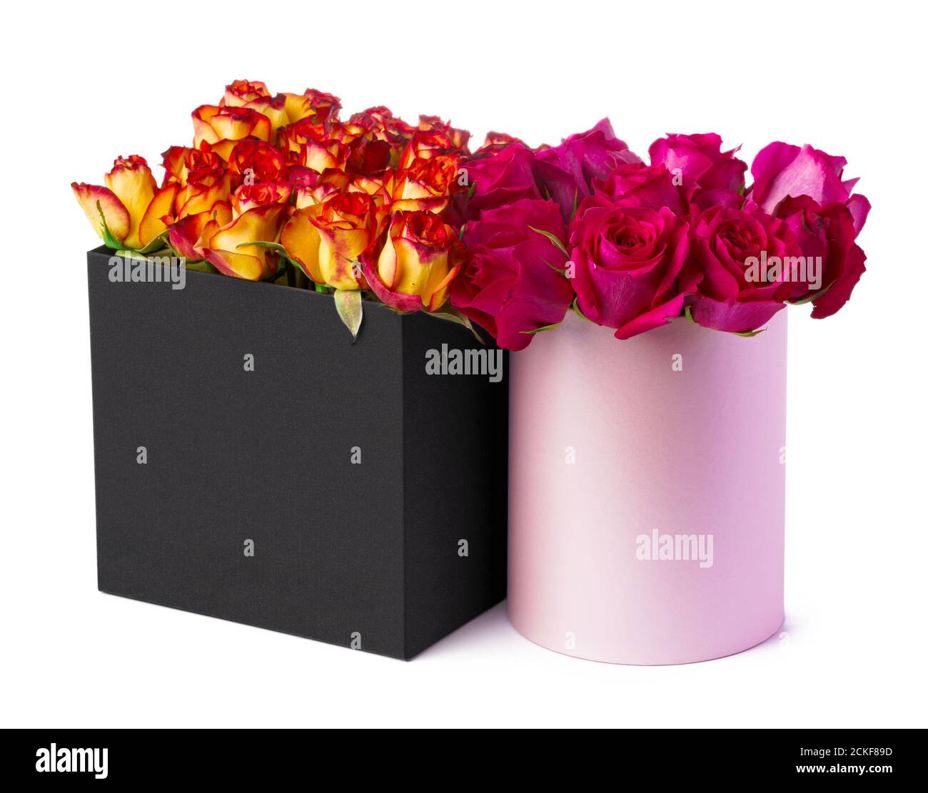 Beautiful boxes with fresh roses isolated on white background Stock ...