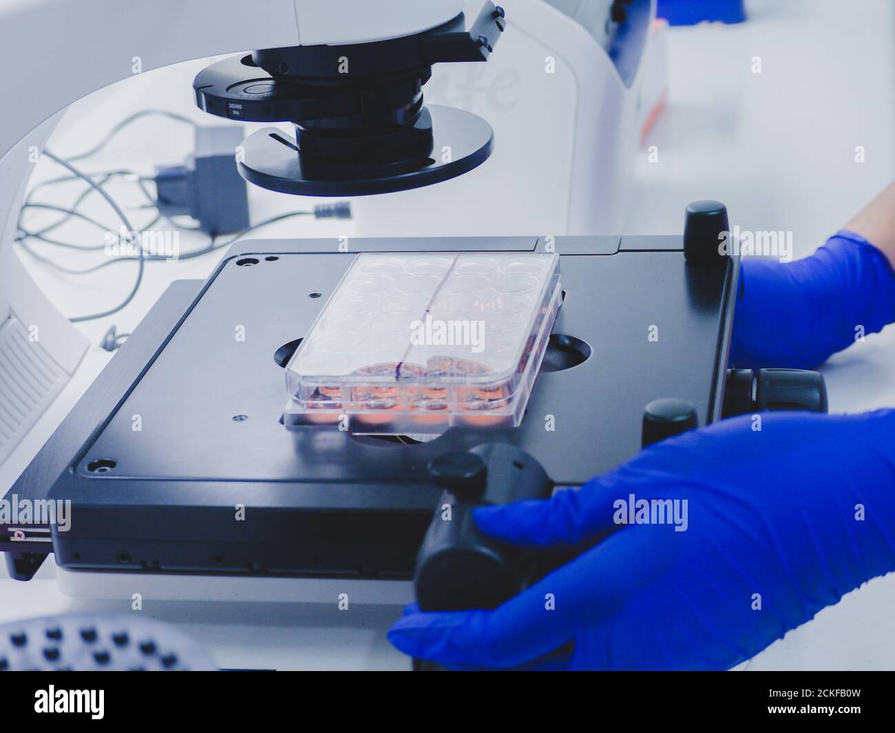 Cell culture hi-res stock photography and images - Alamy