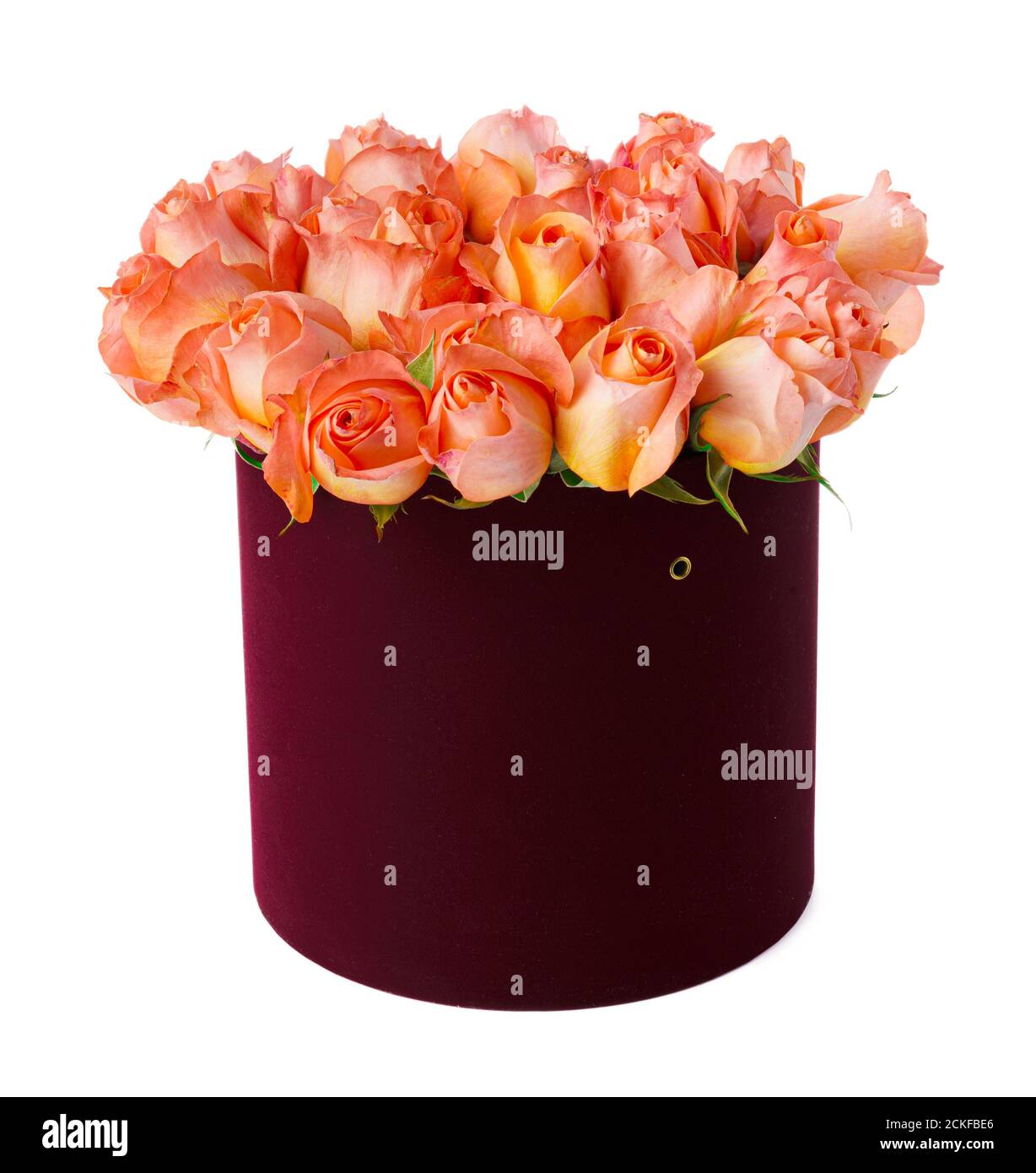 Peach color roses in a cardboard box isolated on white Stock Photo - Alamy