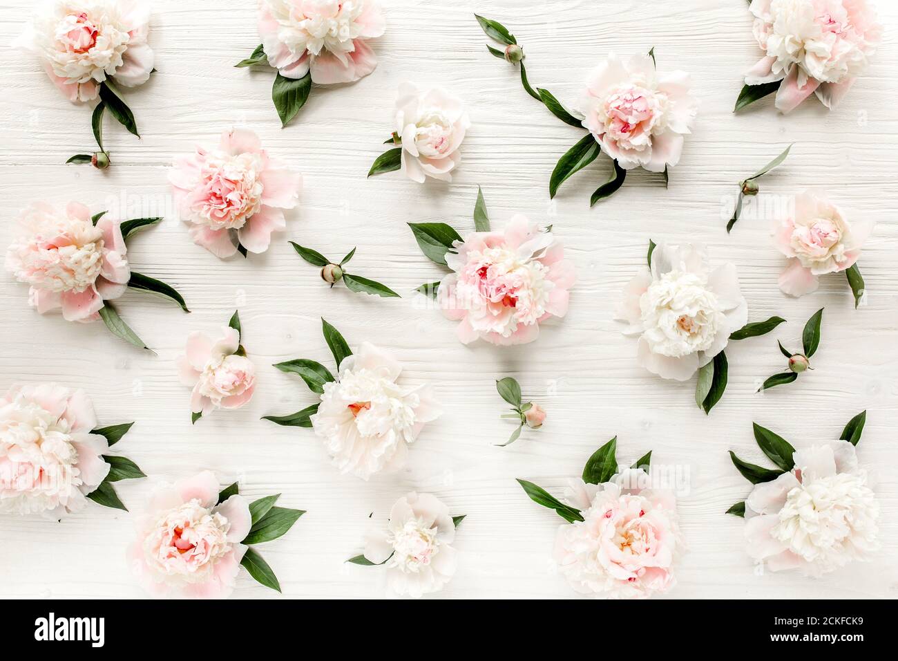 Bouquet of a lot of peonies of pink color close up. Flat lay, top view ...