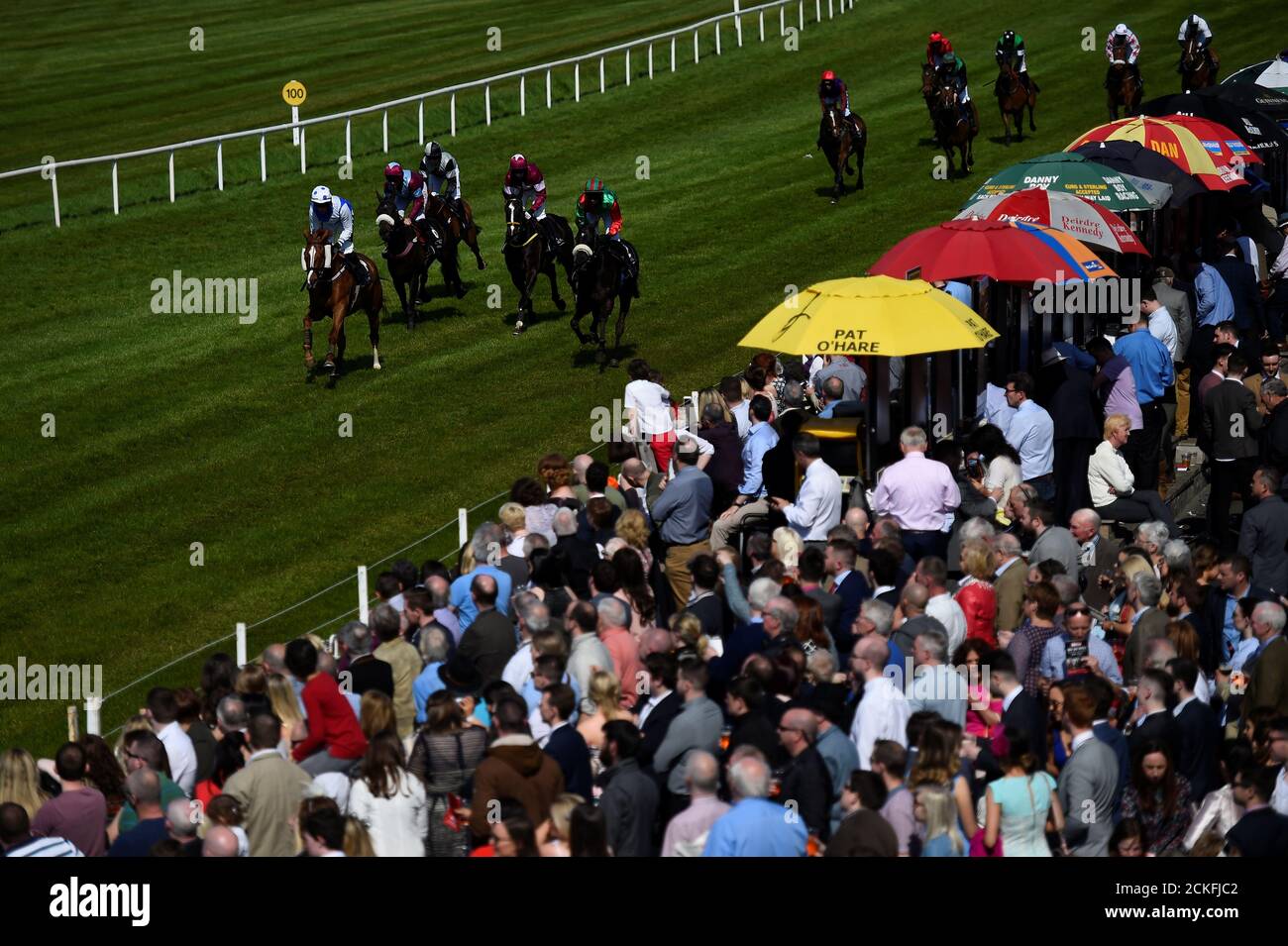 Down royal racecourse hi-res stock photography and images - Alamy