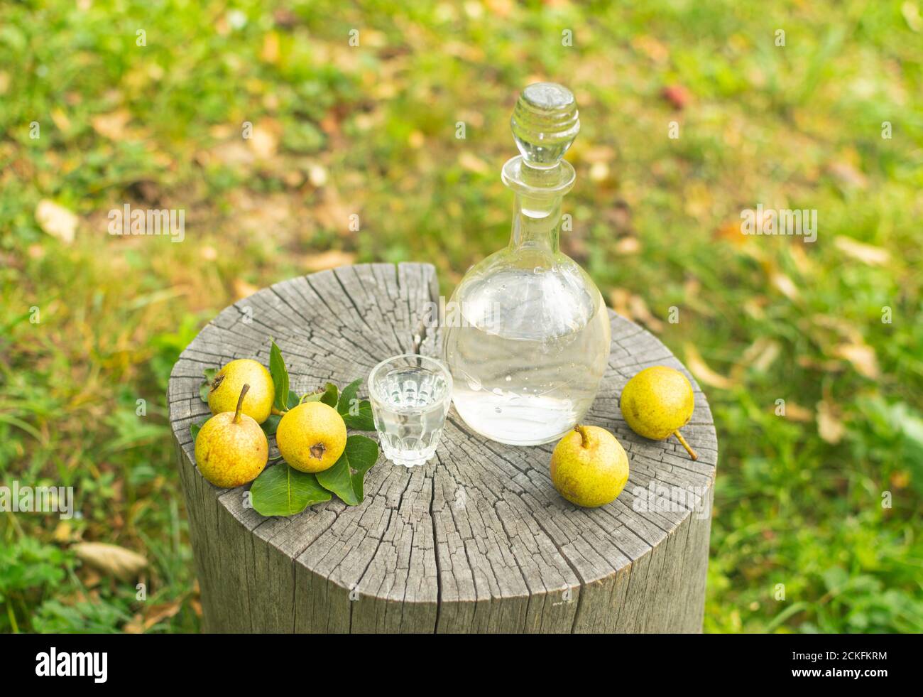 Bottle and glass of pear rakia called "Viljamovka" on rural surrounding ...