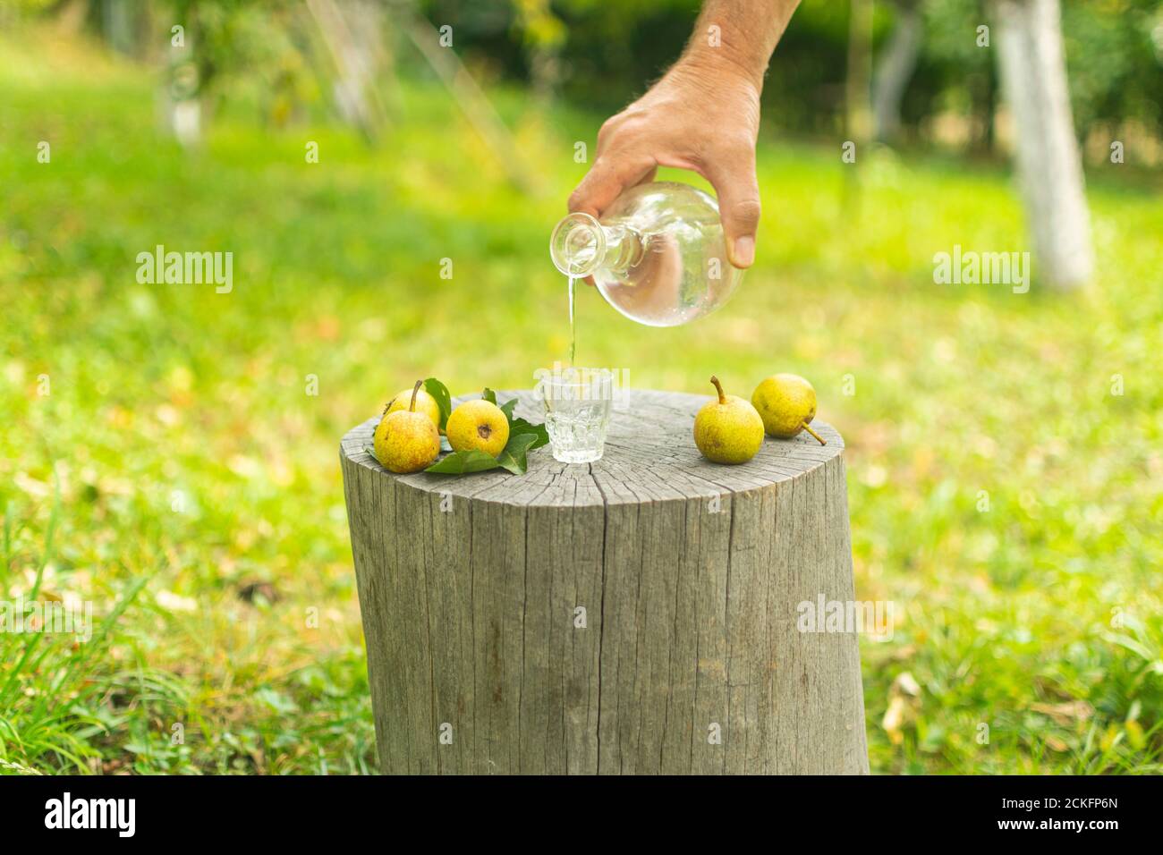 Hand of a man pouring pear rakia (strong alcoholic drink) in small ...