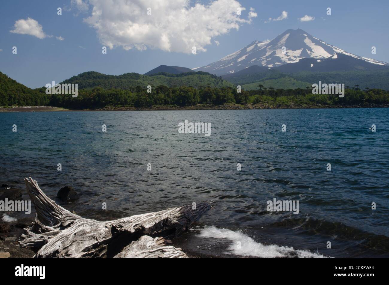 Conguillio lake and Llaima volcano. Conguillio National Park. Araucania ...