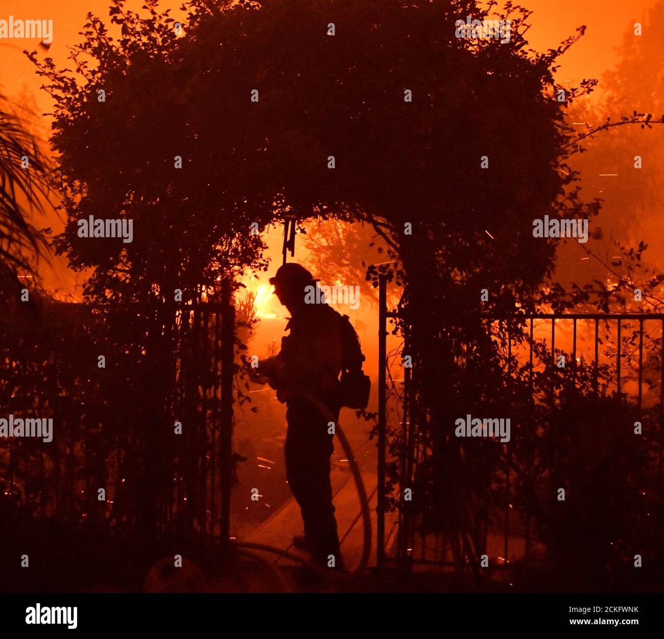 Gene porter hi-res stock photography and images - Alamy