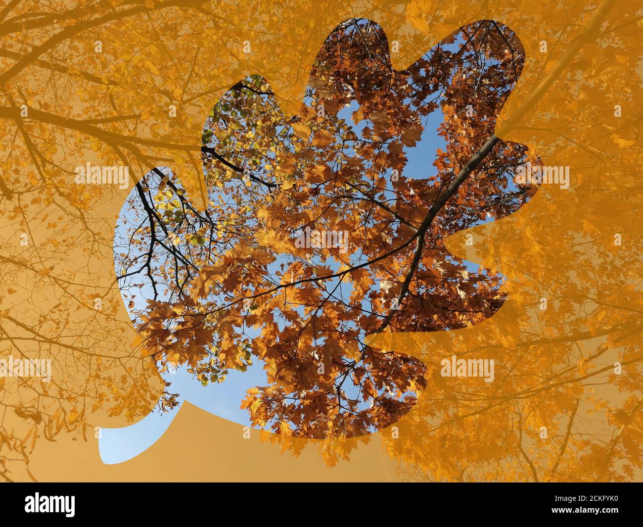 Beautiful autumn scenery with golden leaves over a leaf texture opening ...