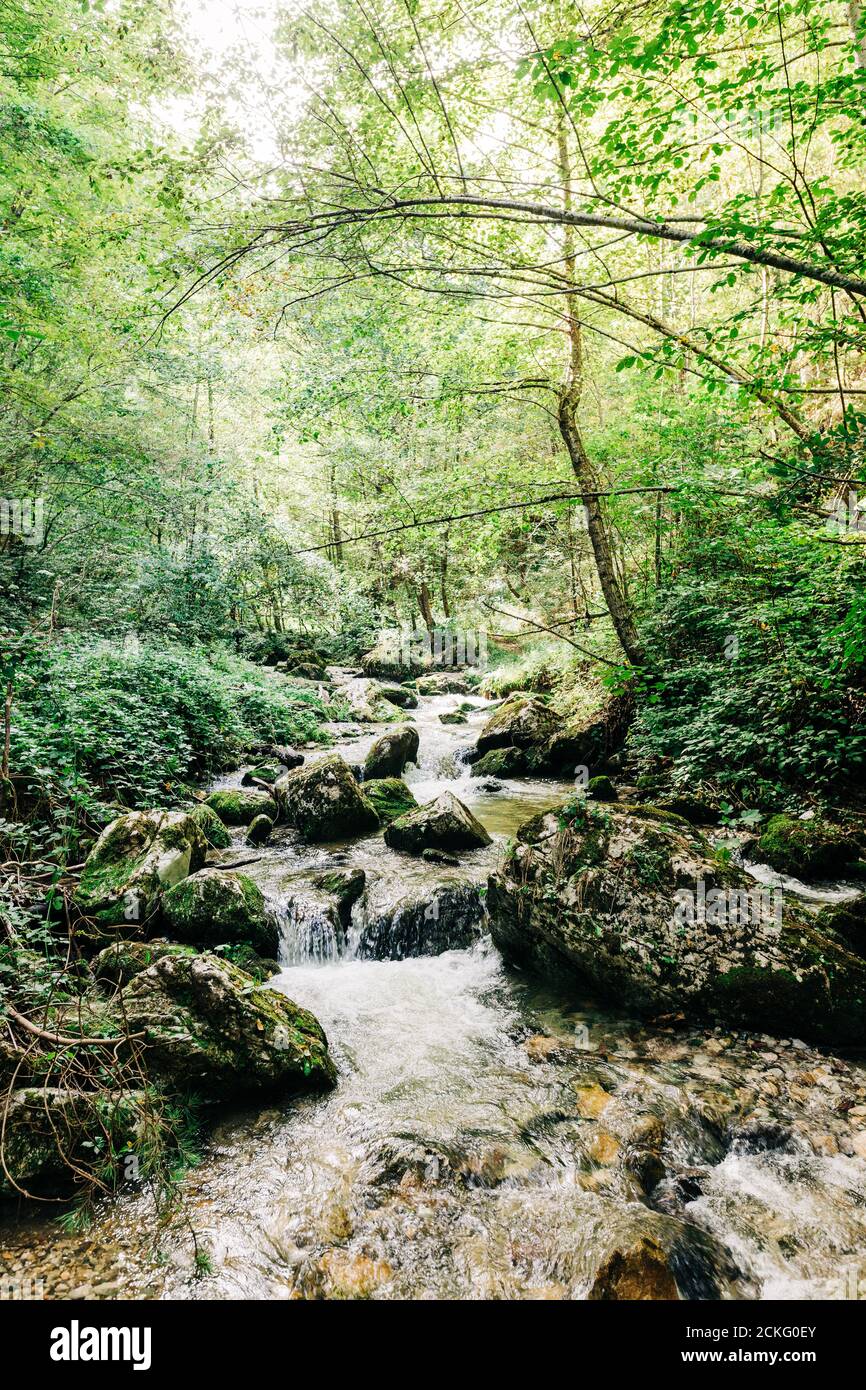Beautiful view river flowing through hi-res stock photography and ...