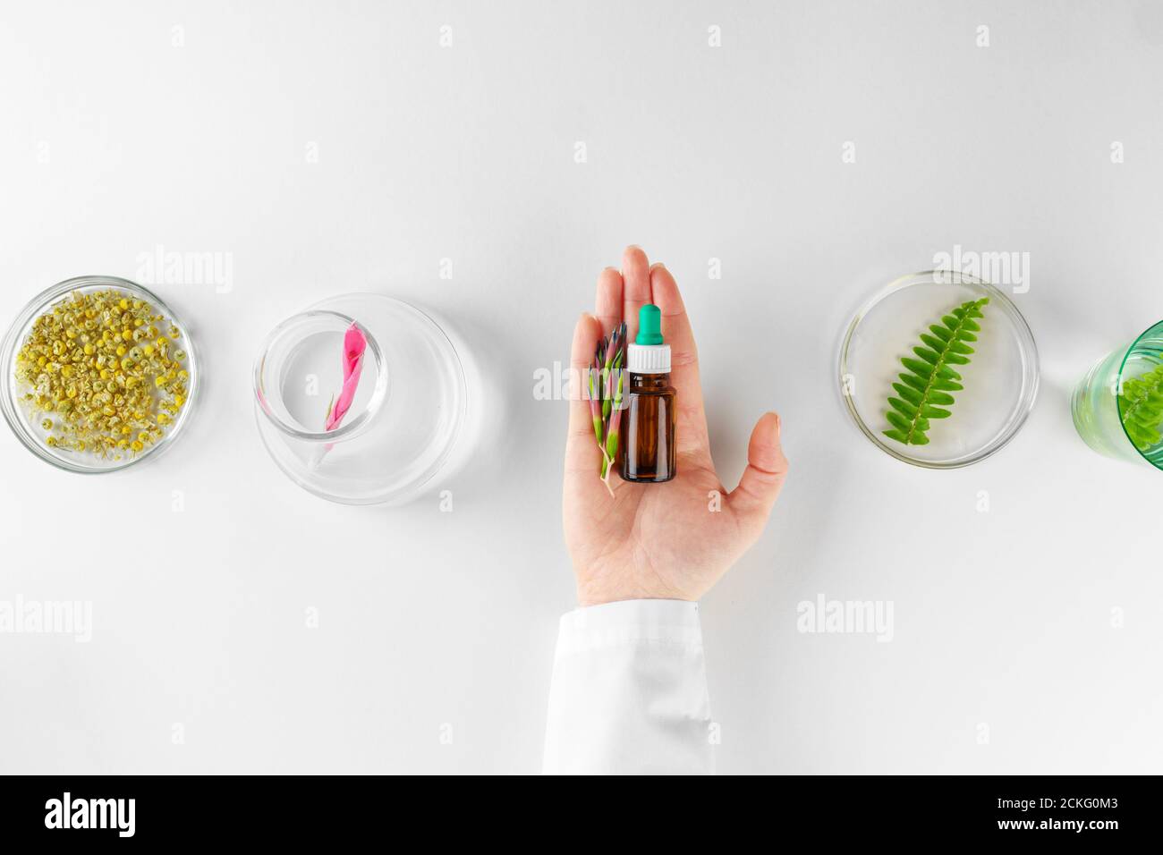 Making herbal dietary supplement in lab with plant leaves. Health and ...